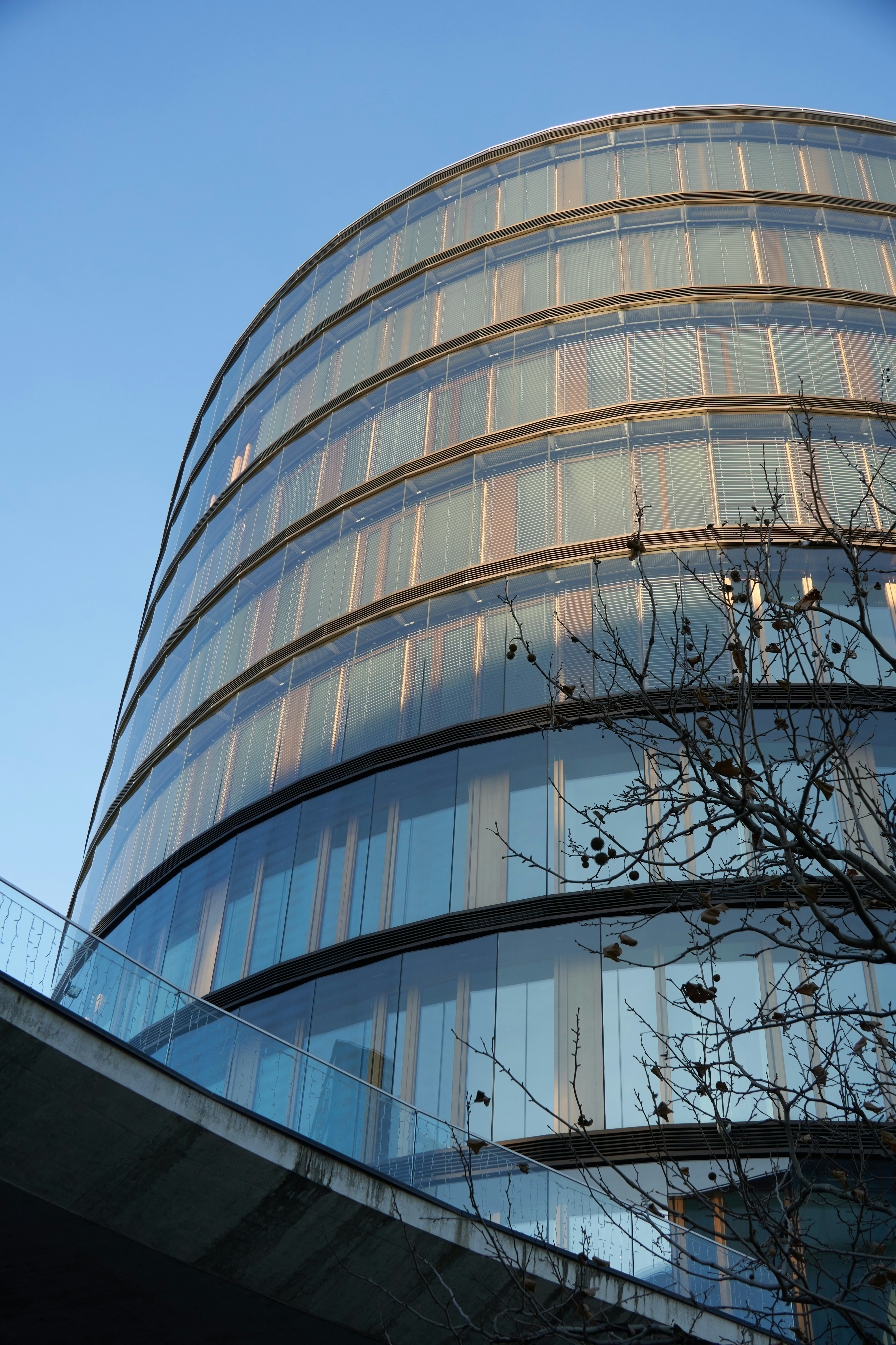 A tall building with a curved glass front photo – Free Office Image on ...
