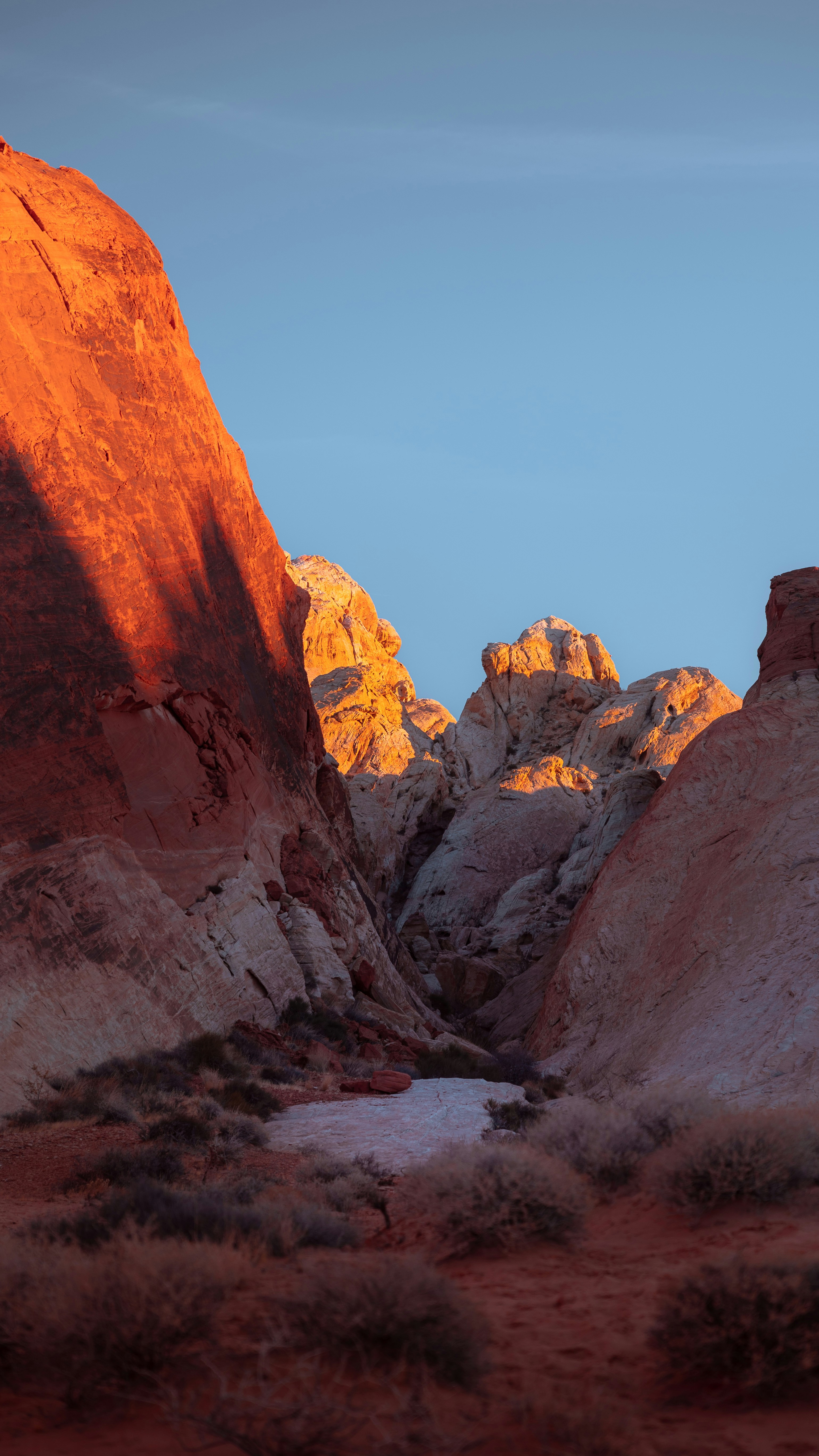 Sunlit Cathedral of Stone in a Desert Gorge