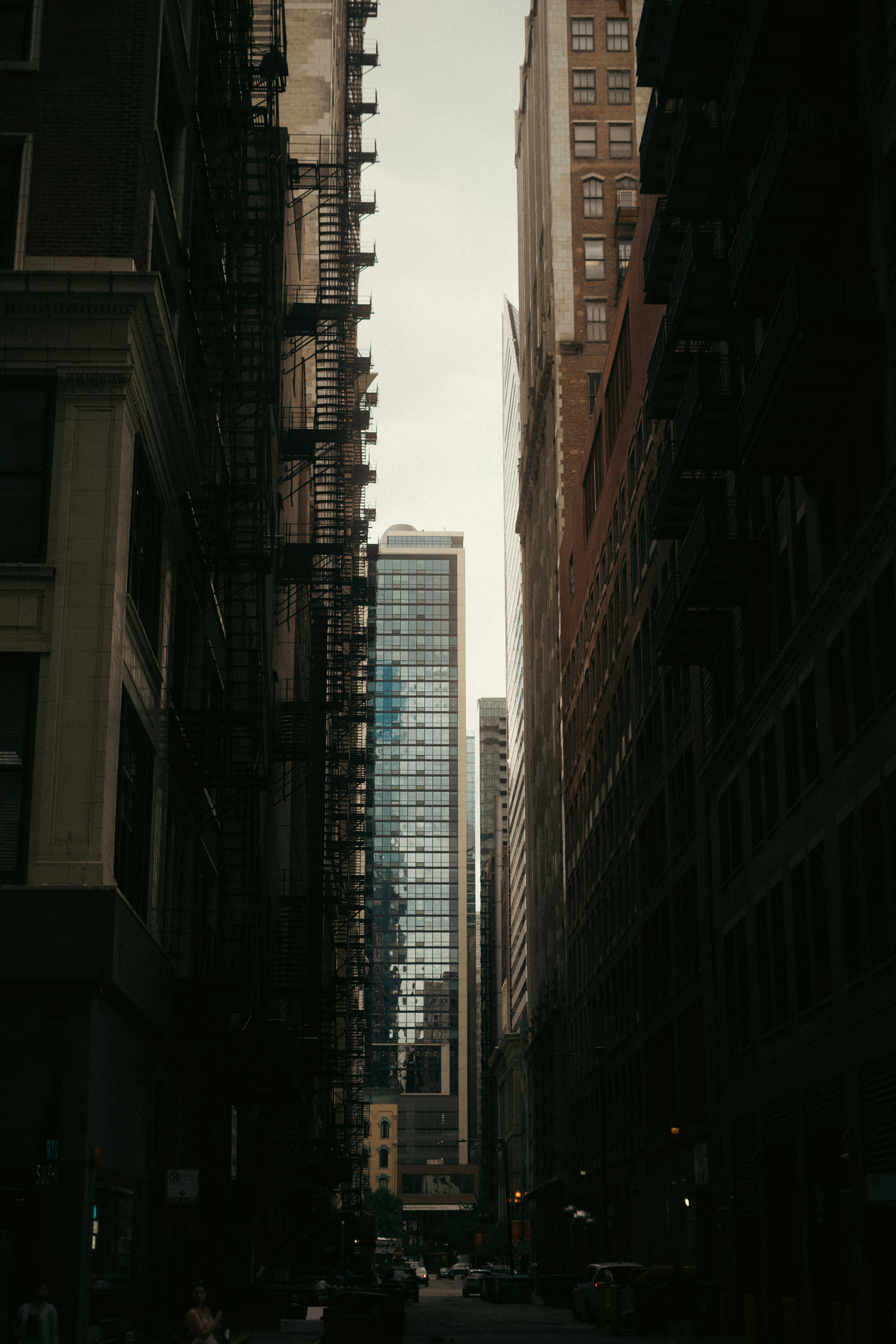 Photo by Seth Adams with Sony Alpha 7 III