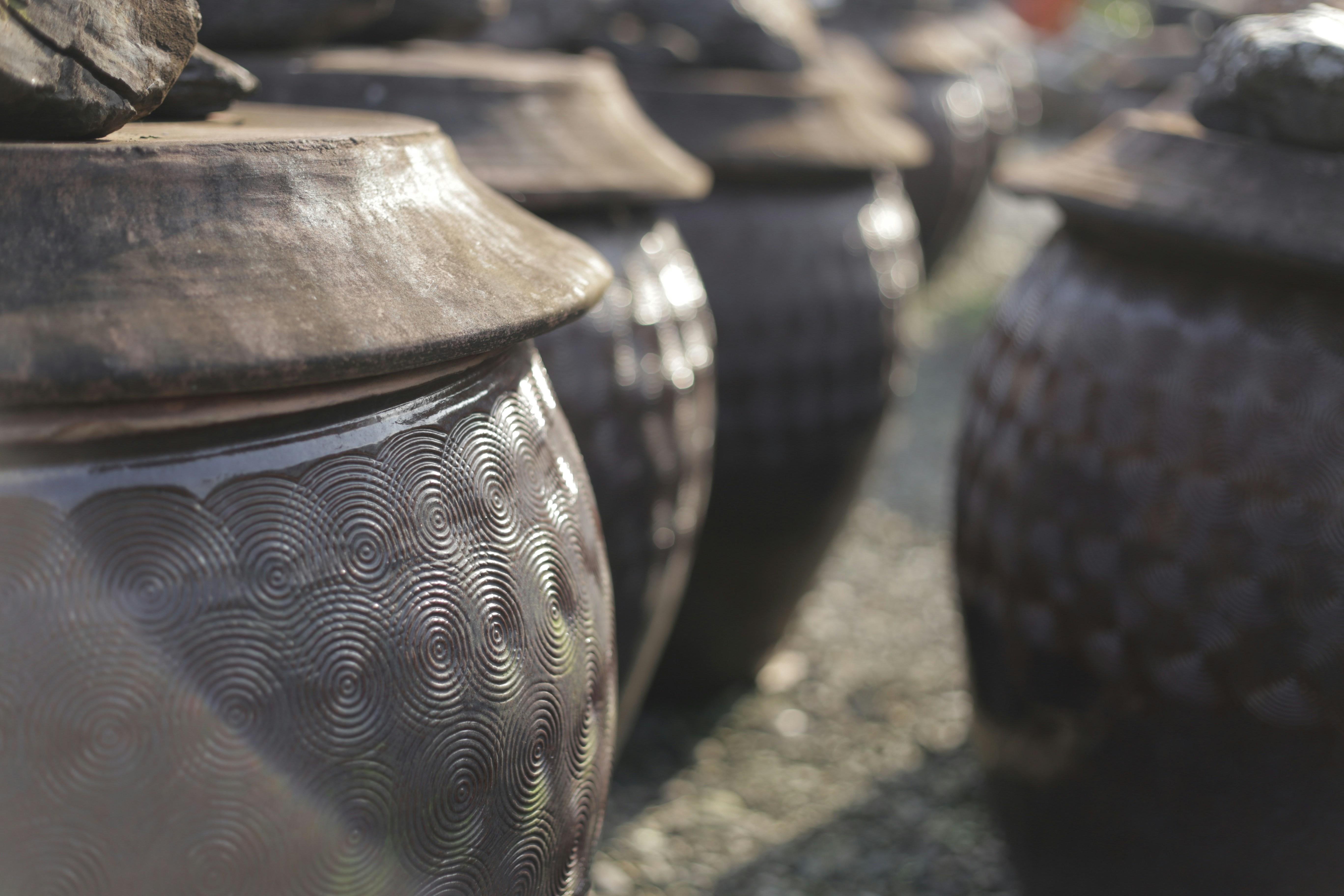 Rhythms of Clay: embossed jars in a sunlit row