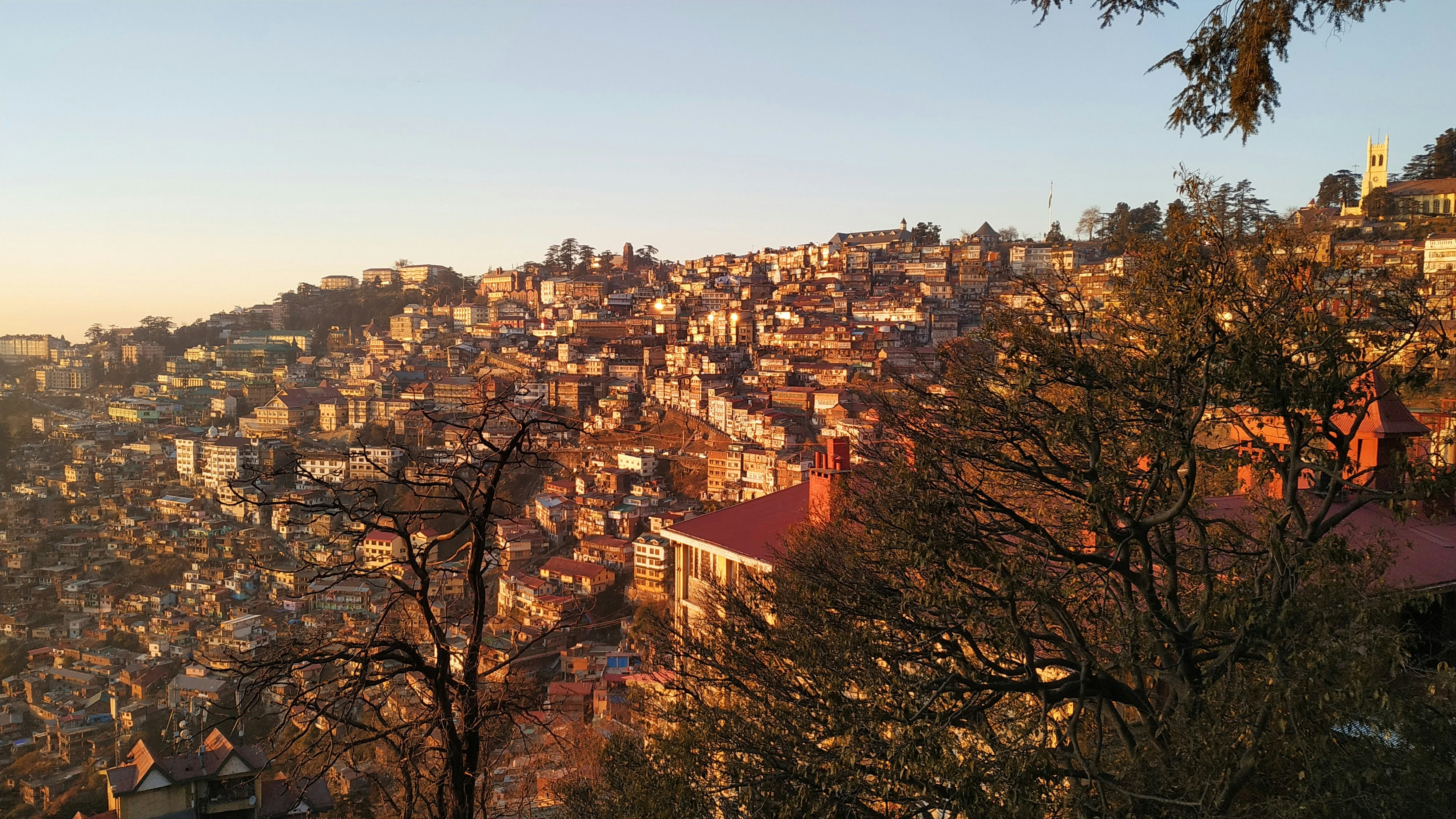 Expansive view of a hillside city bathed in warm sunset light, framed by silhouetted trees.