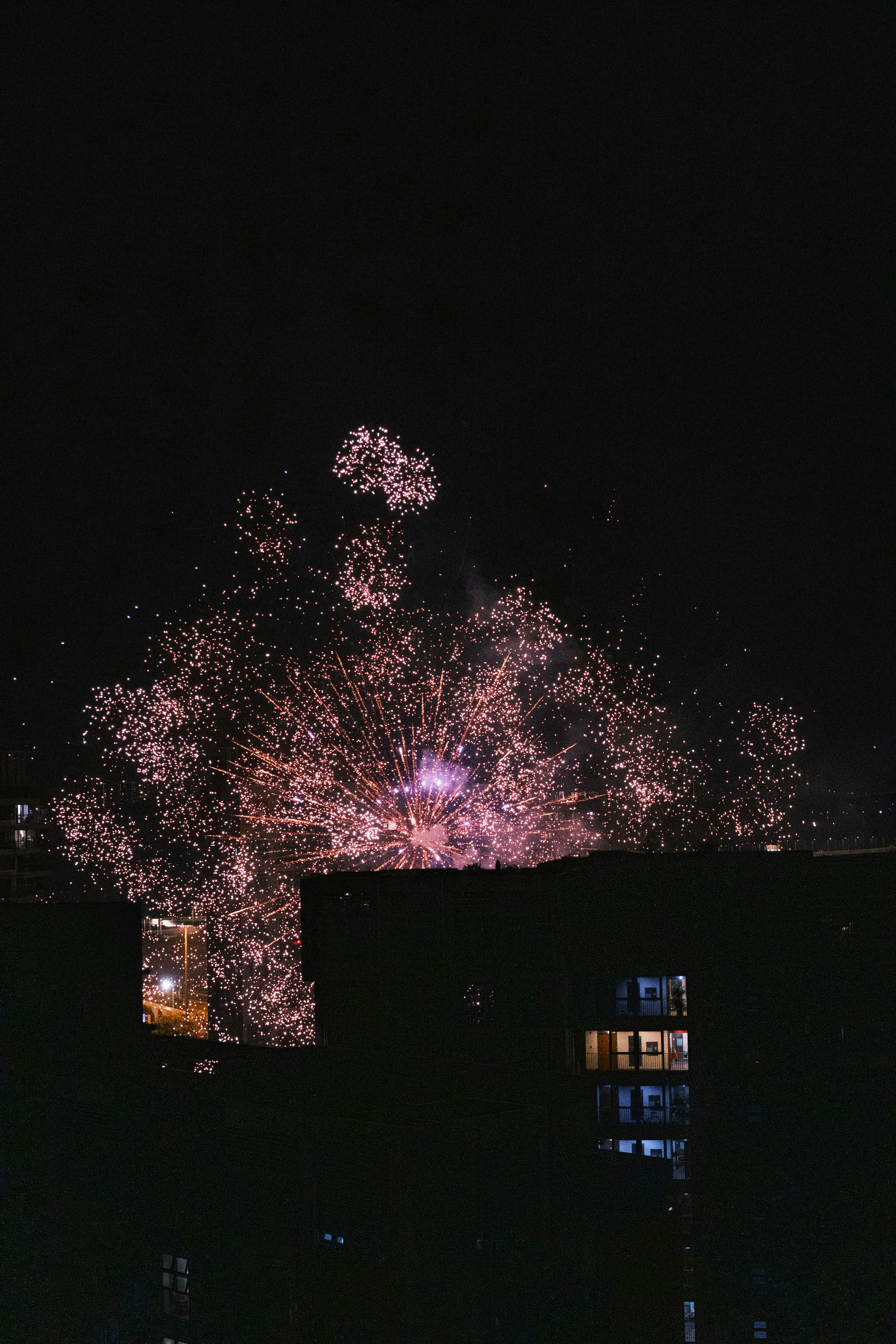 Midnight Bloom Behind the Quiet City Skyline