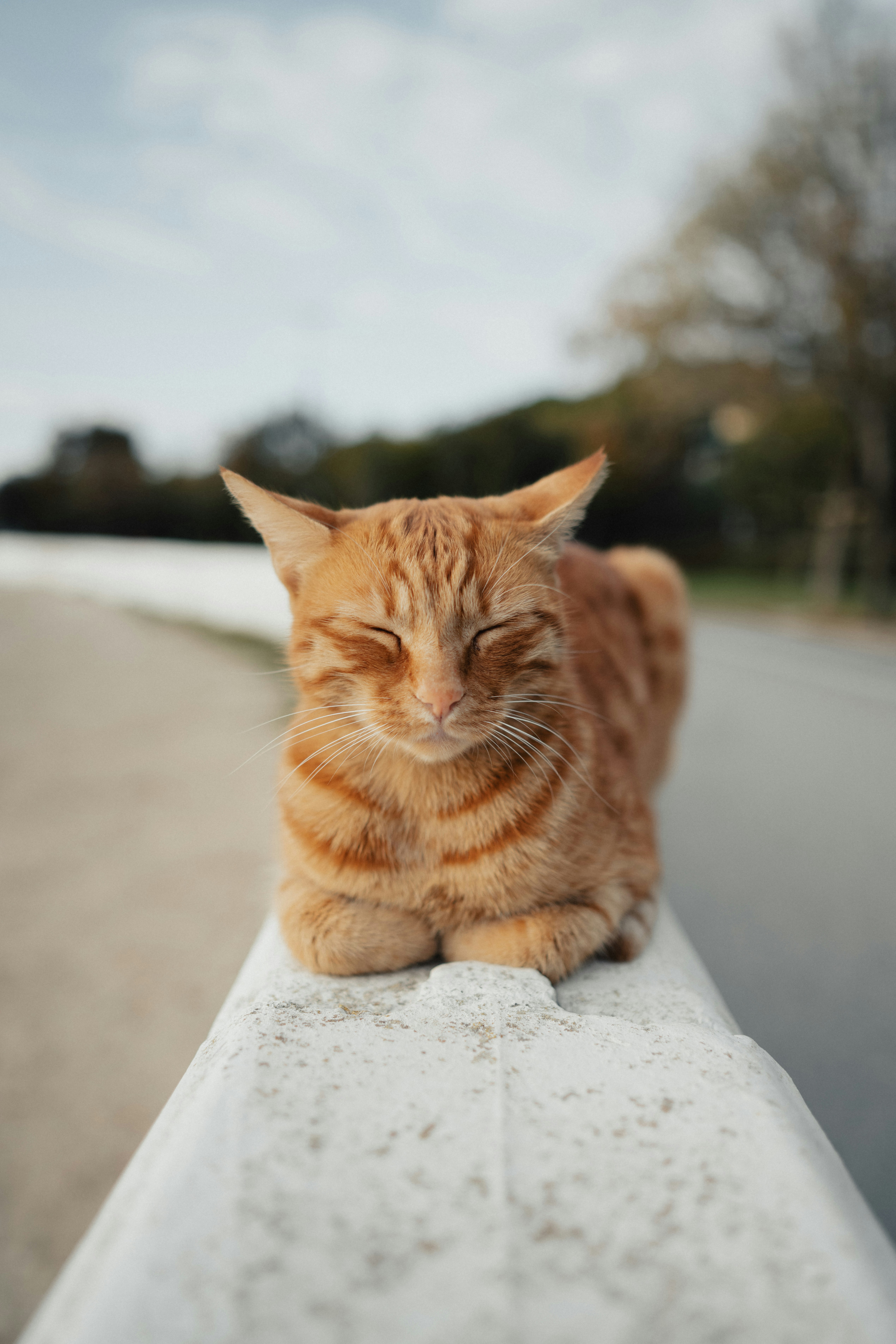 Photo by Tolga Ahmetler with Nikon Z7 II