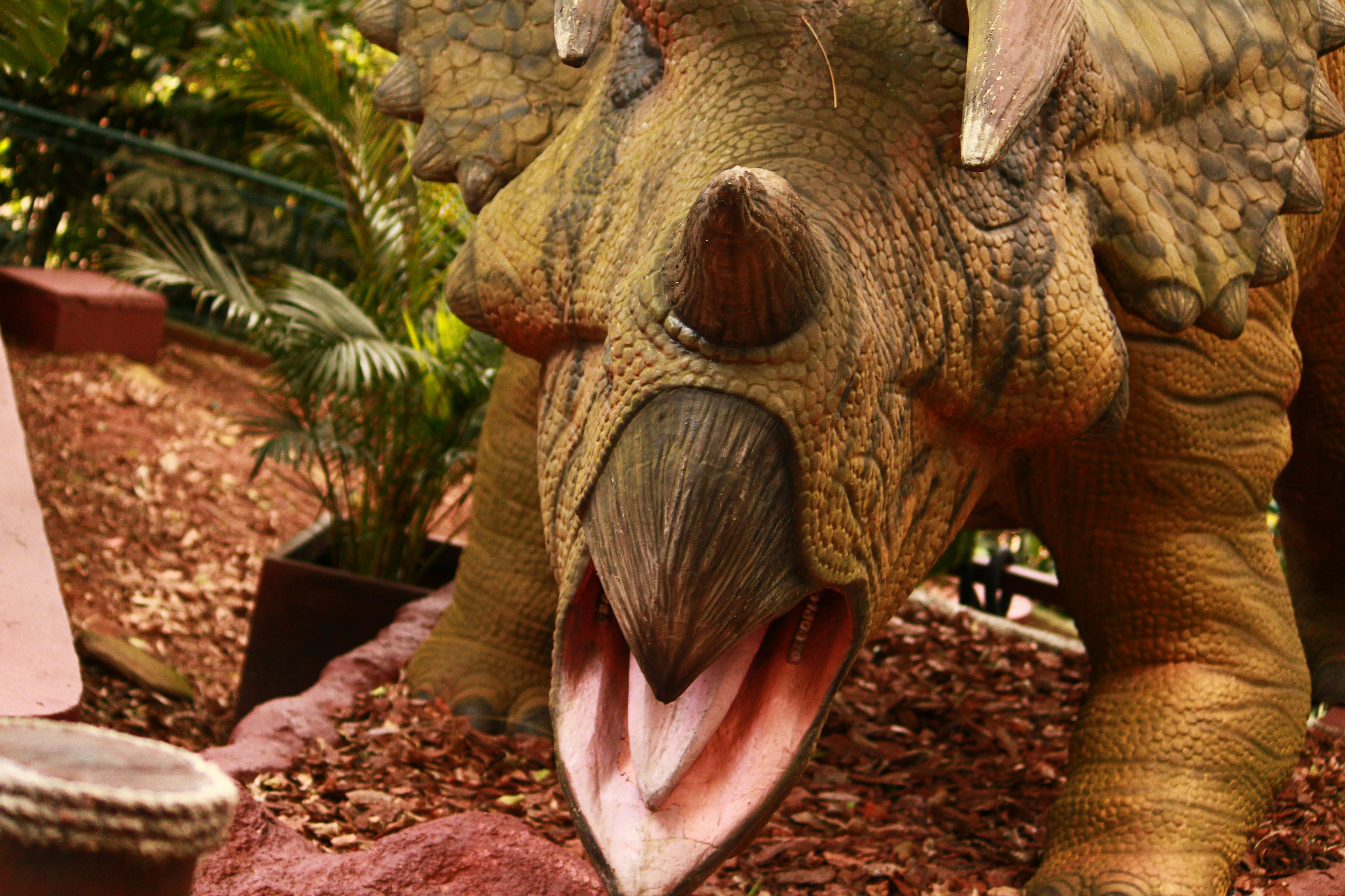 A lifelike triceratops sculpture with an open mouth, surrounded by lush greenery and earthy textures. This vibrant depiction captures the essence of prehistoric life.