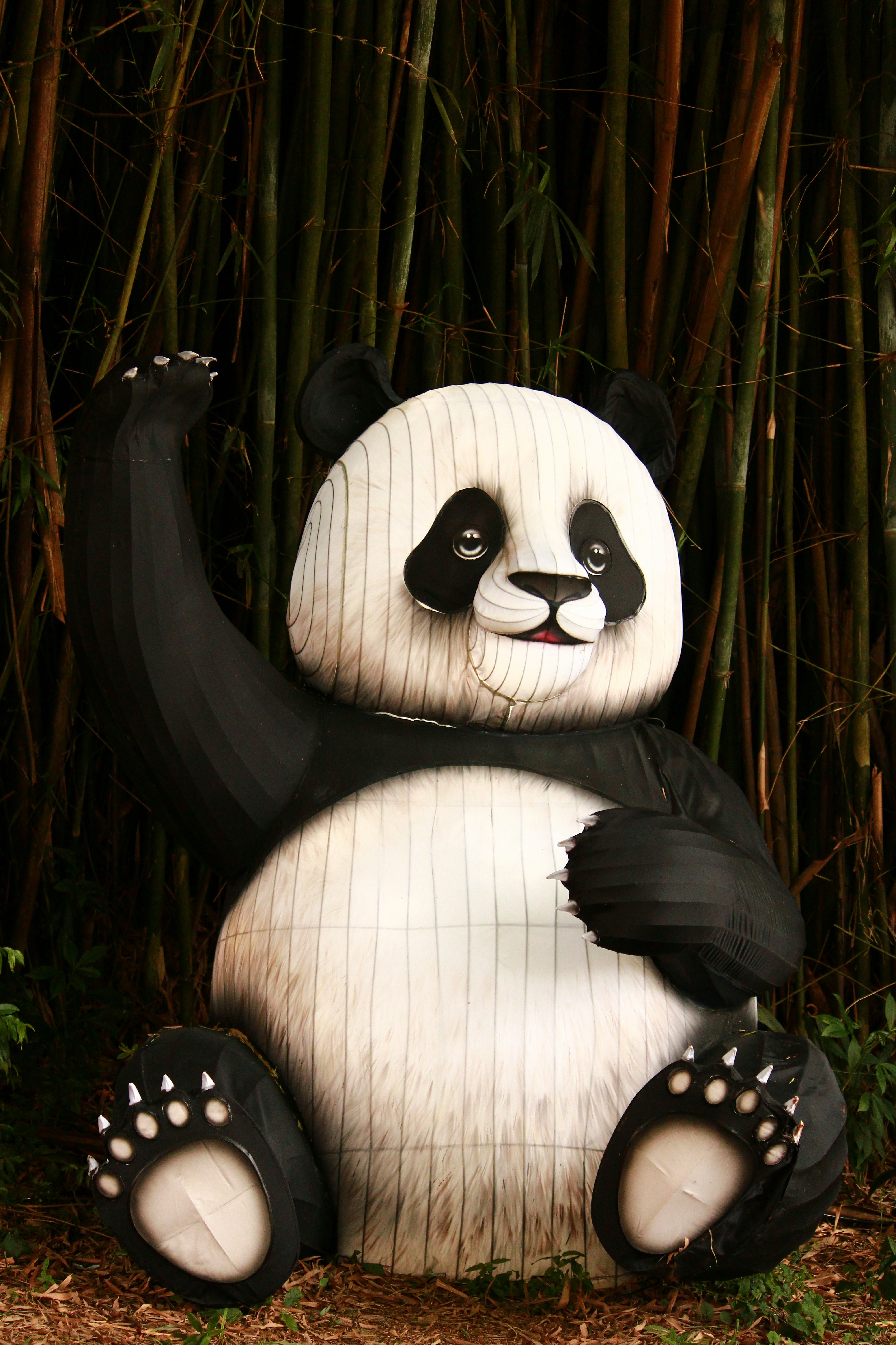 Panda Cartoon Pictures | Download Free Images on Unsplash
