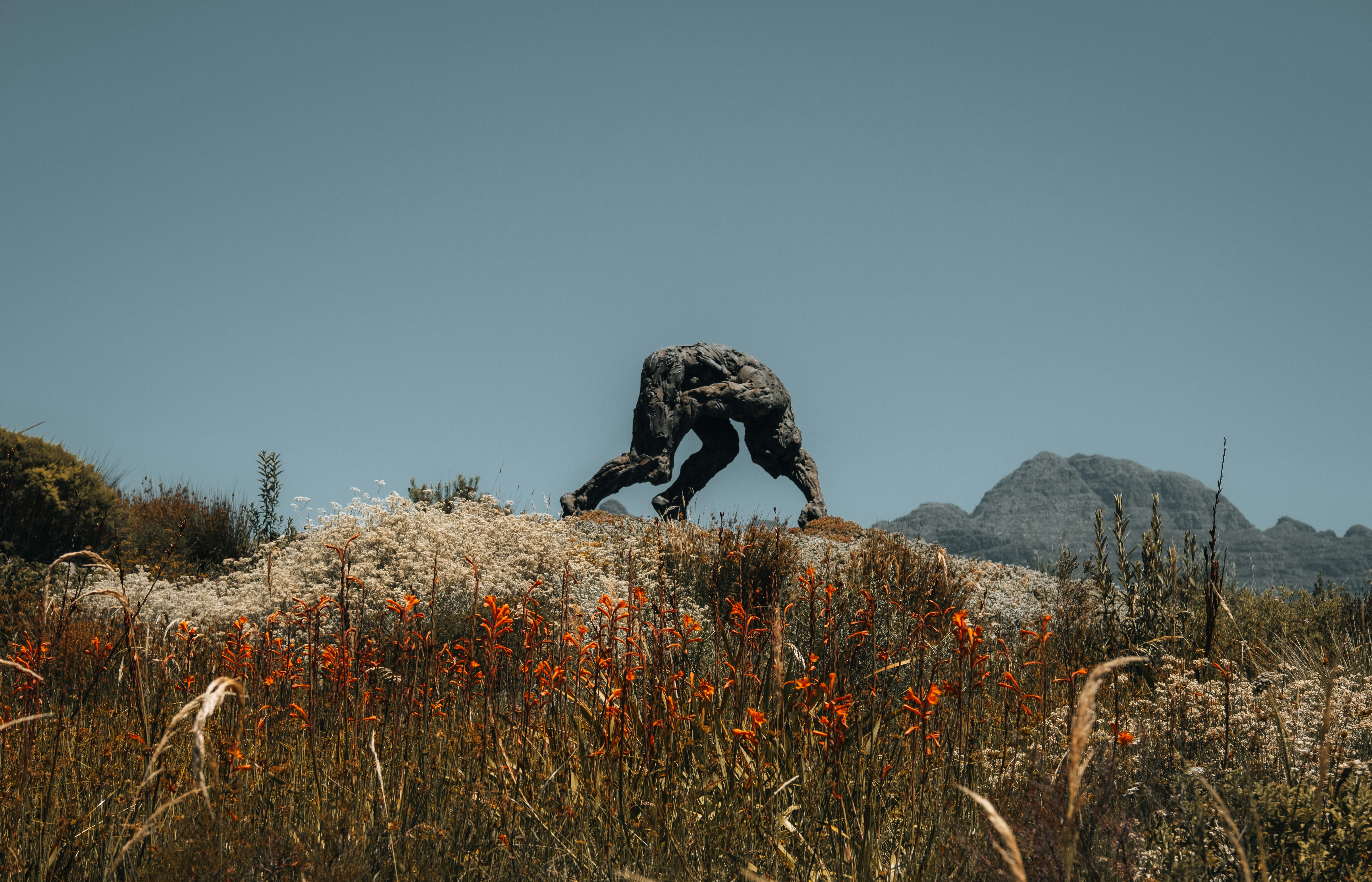 Angled Stride: The Metal Creature Amid Wildflowers