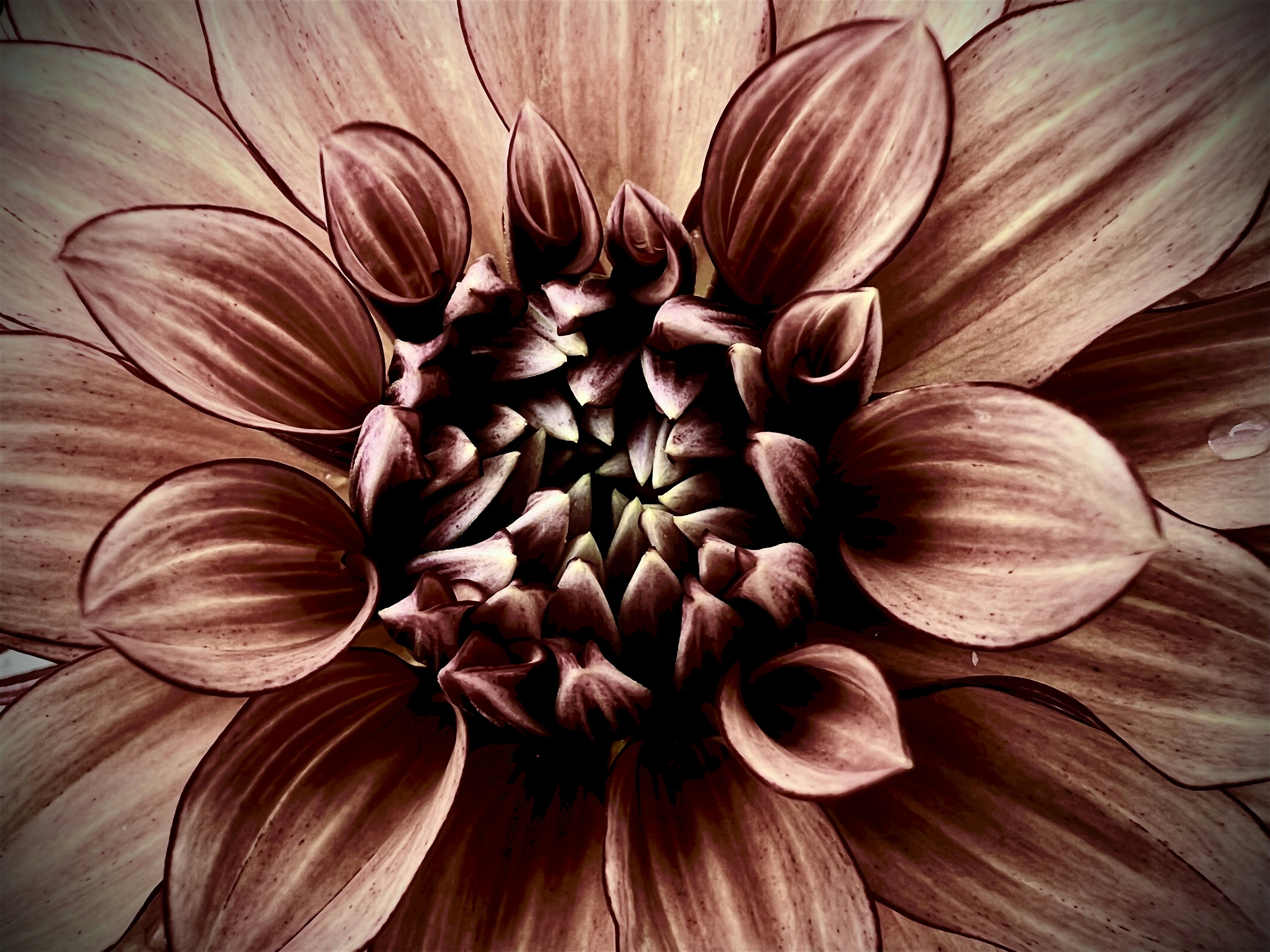 Blake Alan (@blake_alan) | Comunidade de fotos da Unsplash