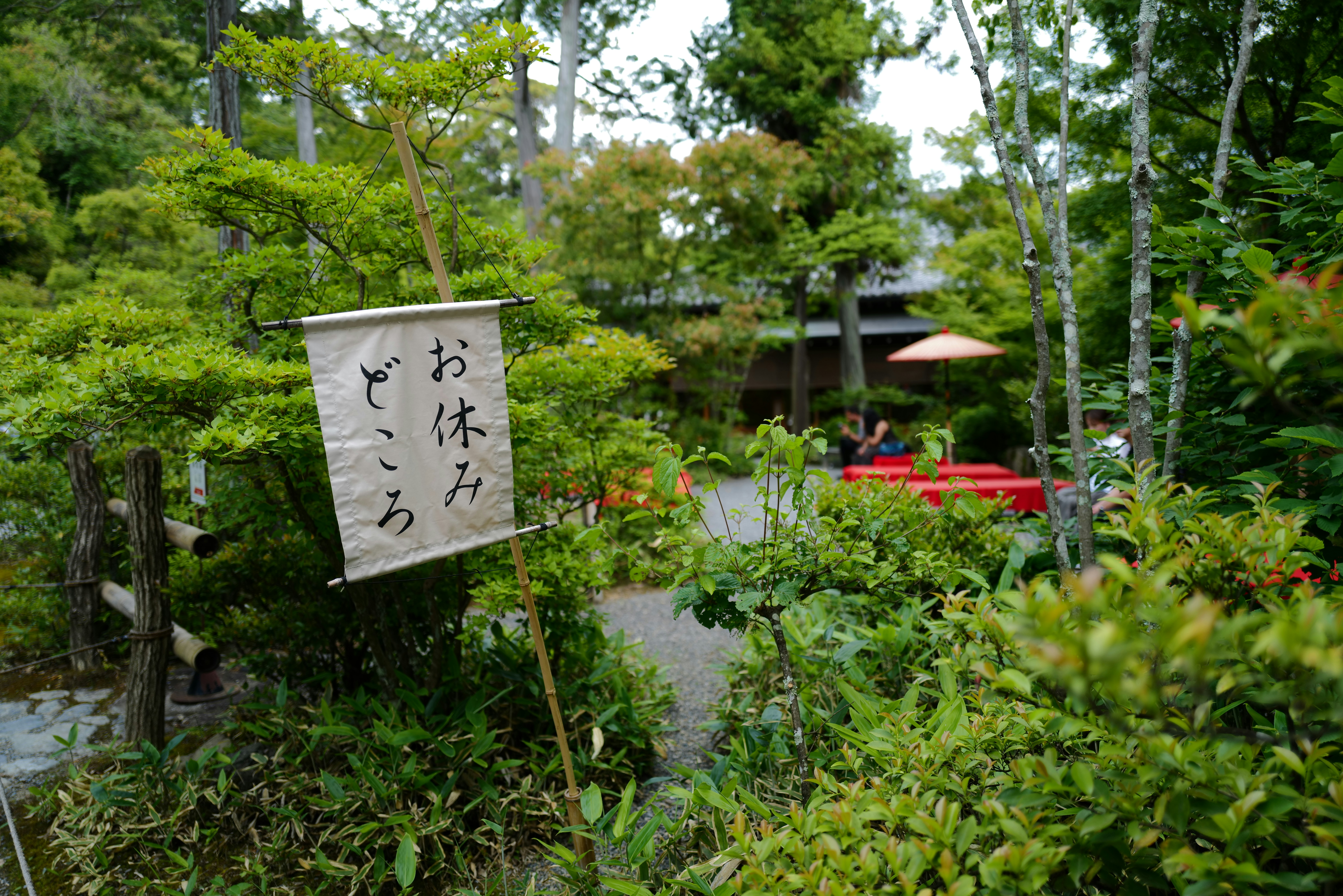 Photo by Joe Yu with Leica Q2