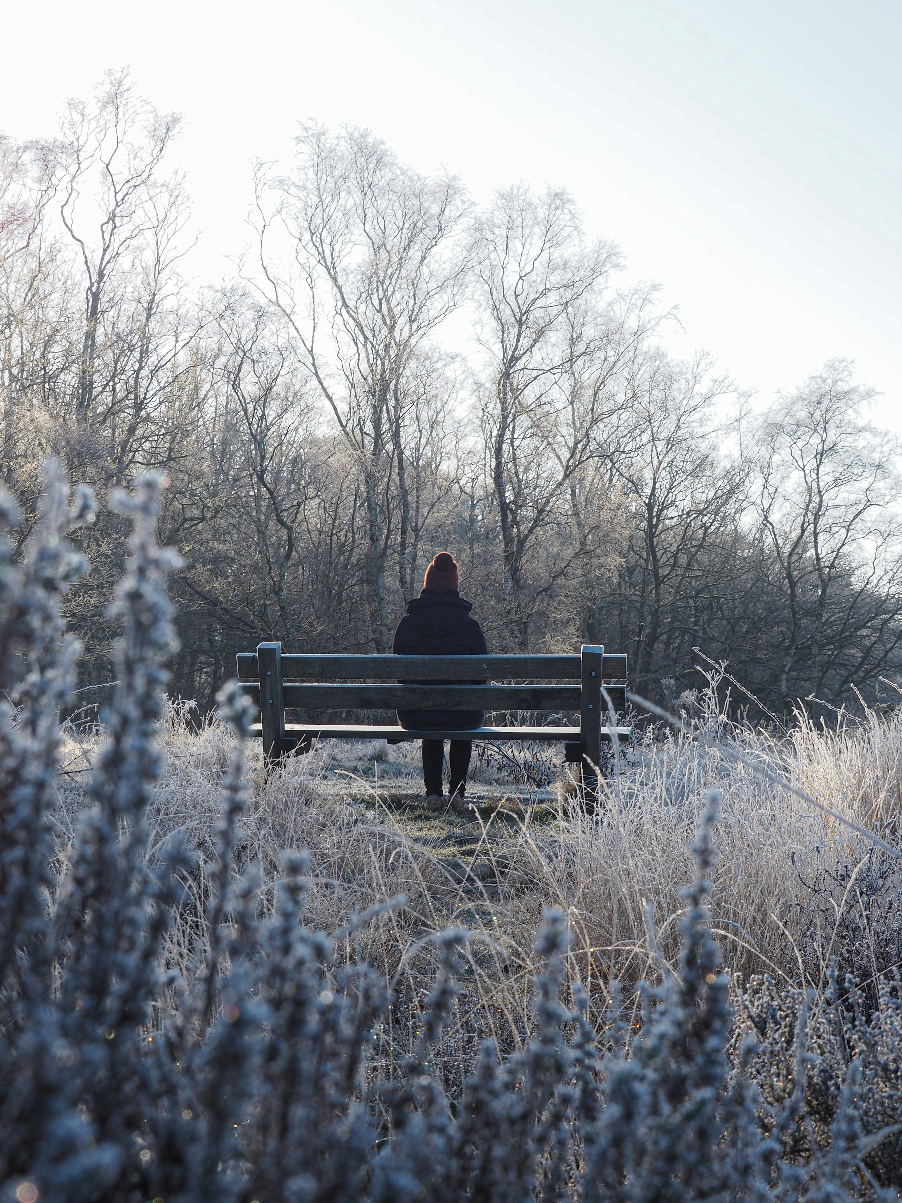 What will it look like when it's spring?