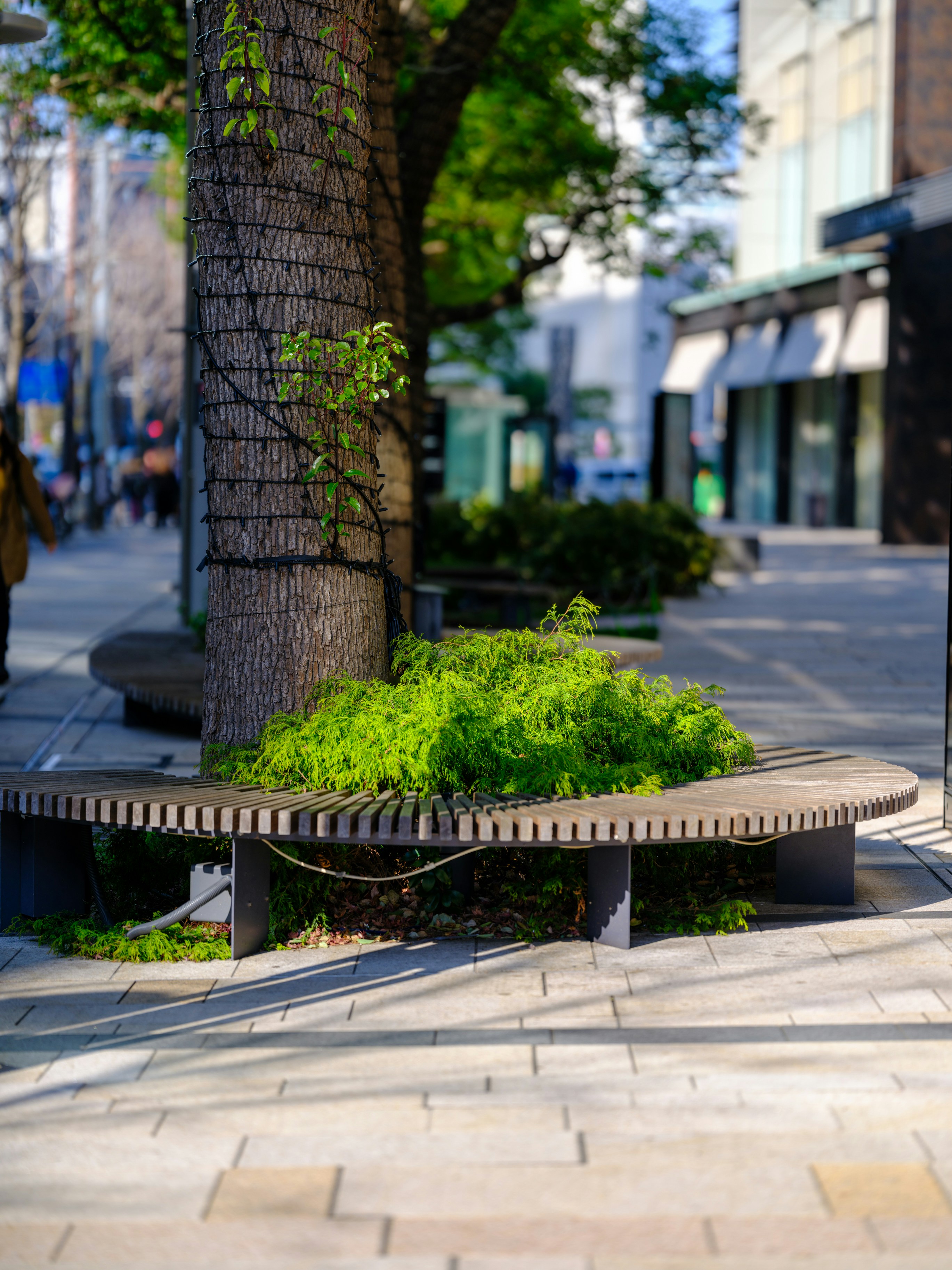 Place to rest while walking