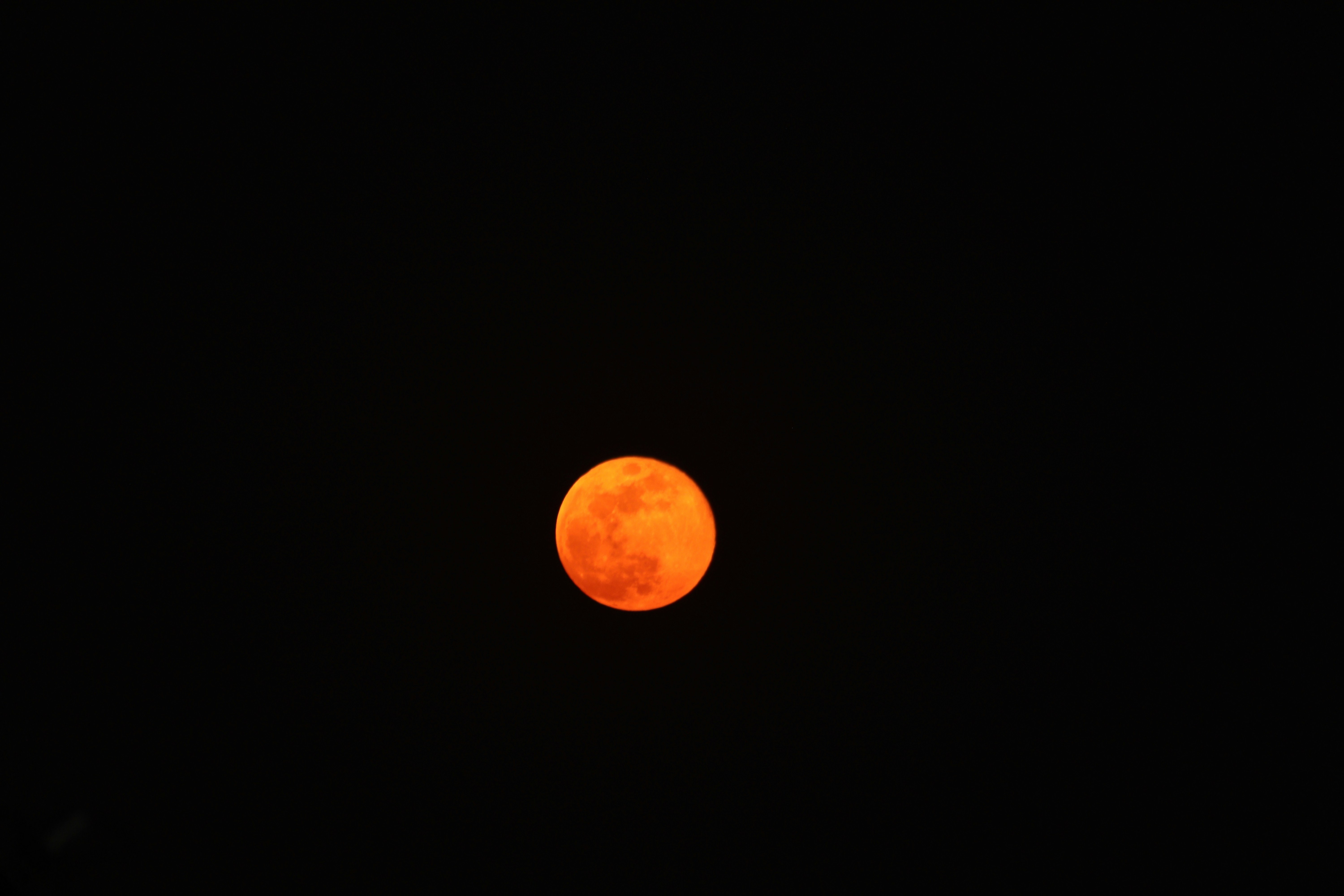 A bright orange moon in the dark sky photo – Free Nature Image on Unsplash