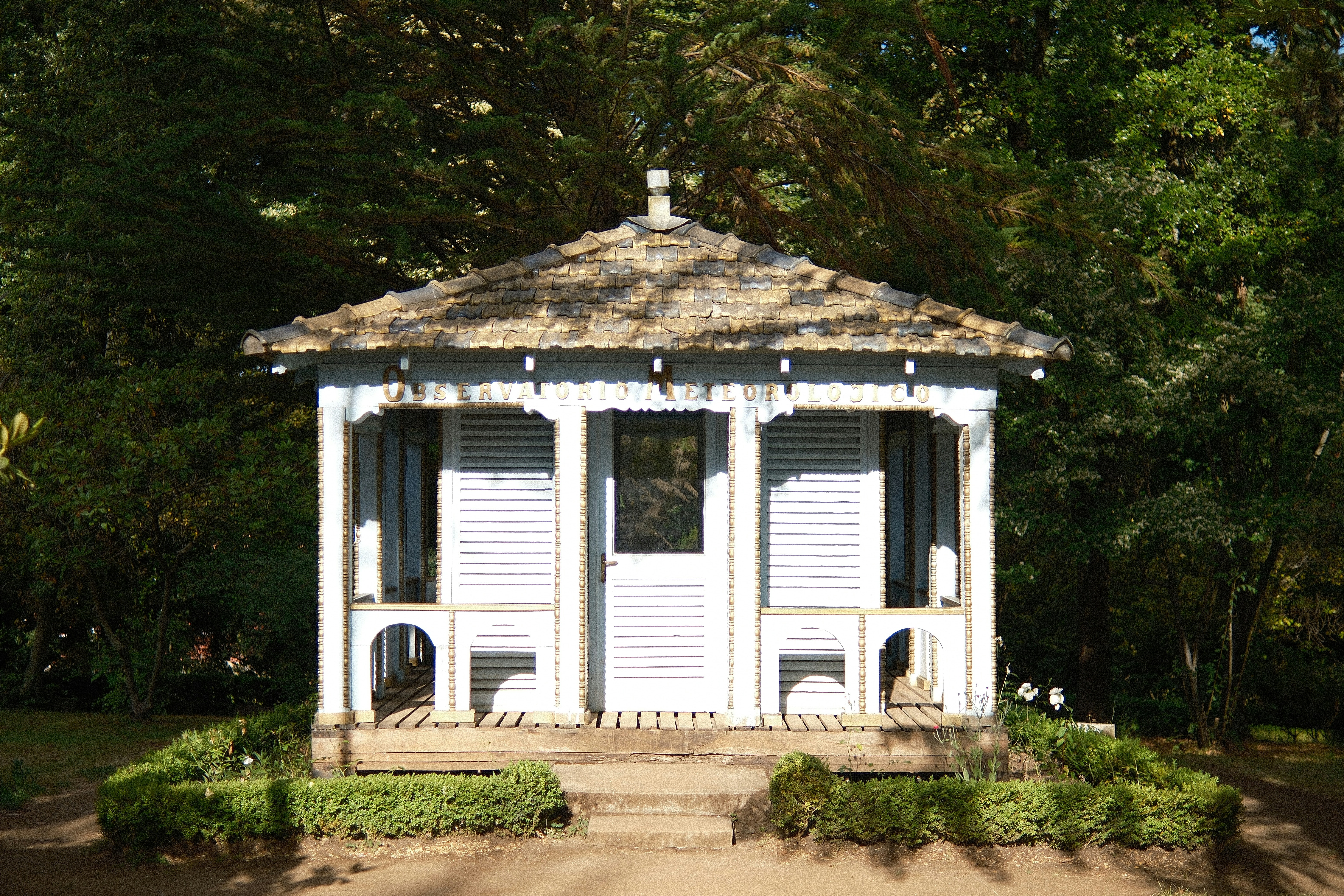 White wooden gazebo surrounded by lush greenery under bright sunlight.