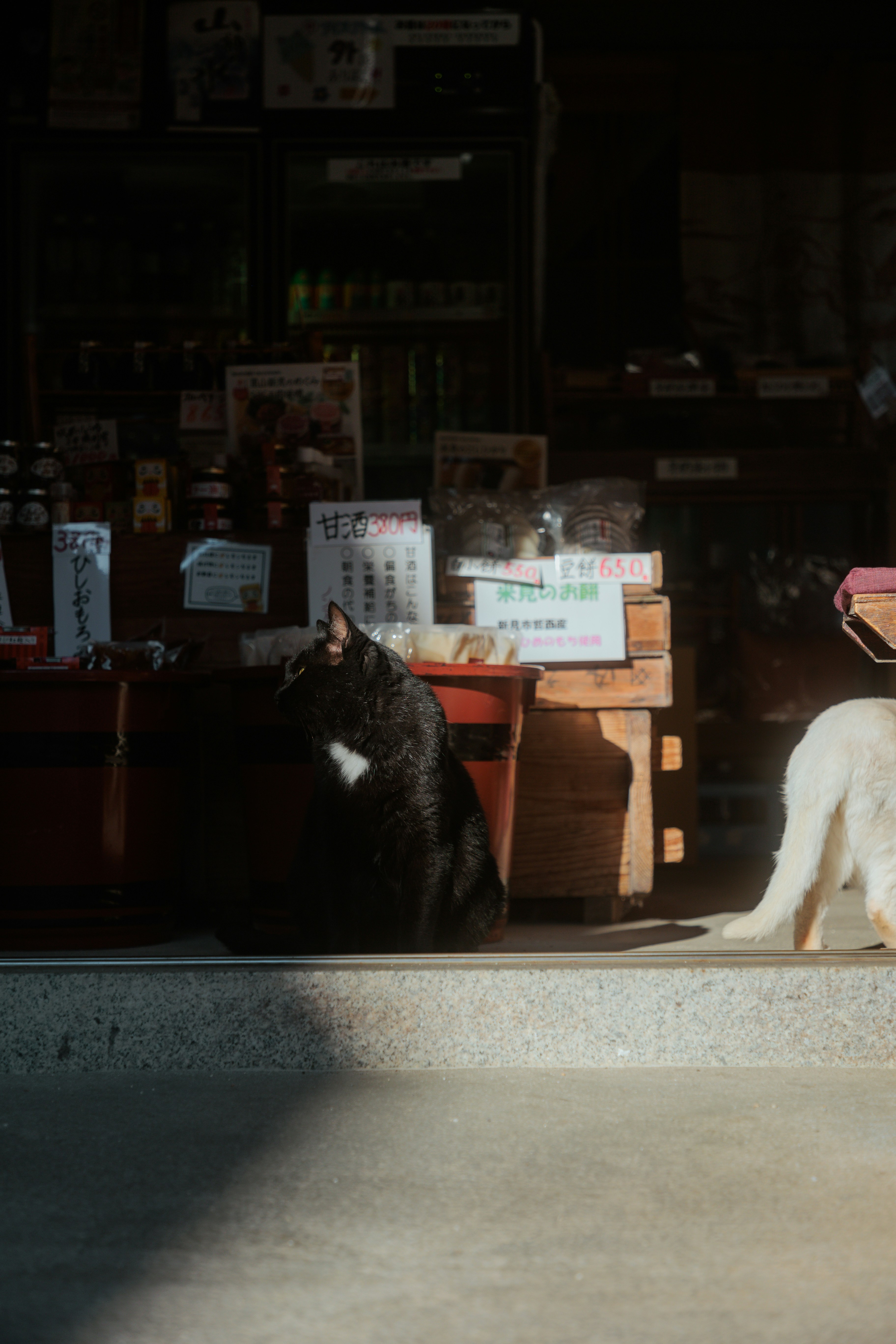 Photo by Gaku Suyama with Canon EOS R6