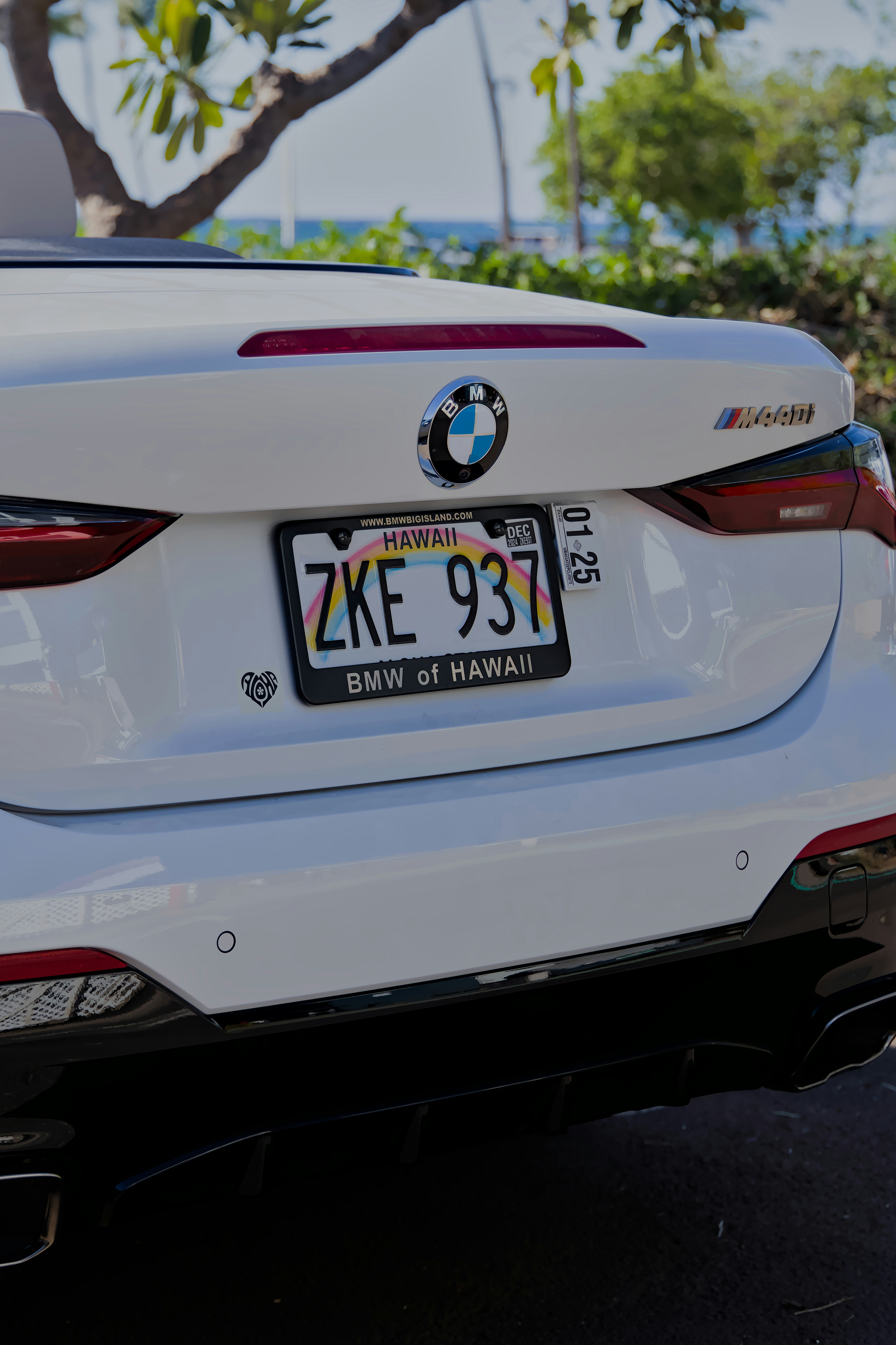 Photo by Will Goodman with Canon EOS R50