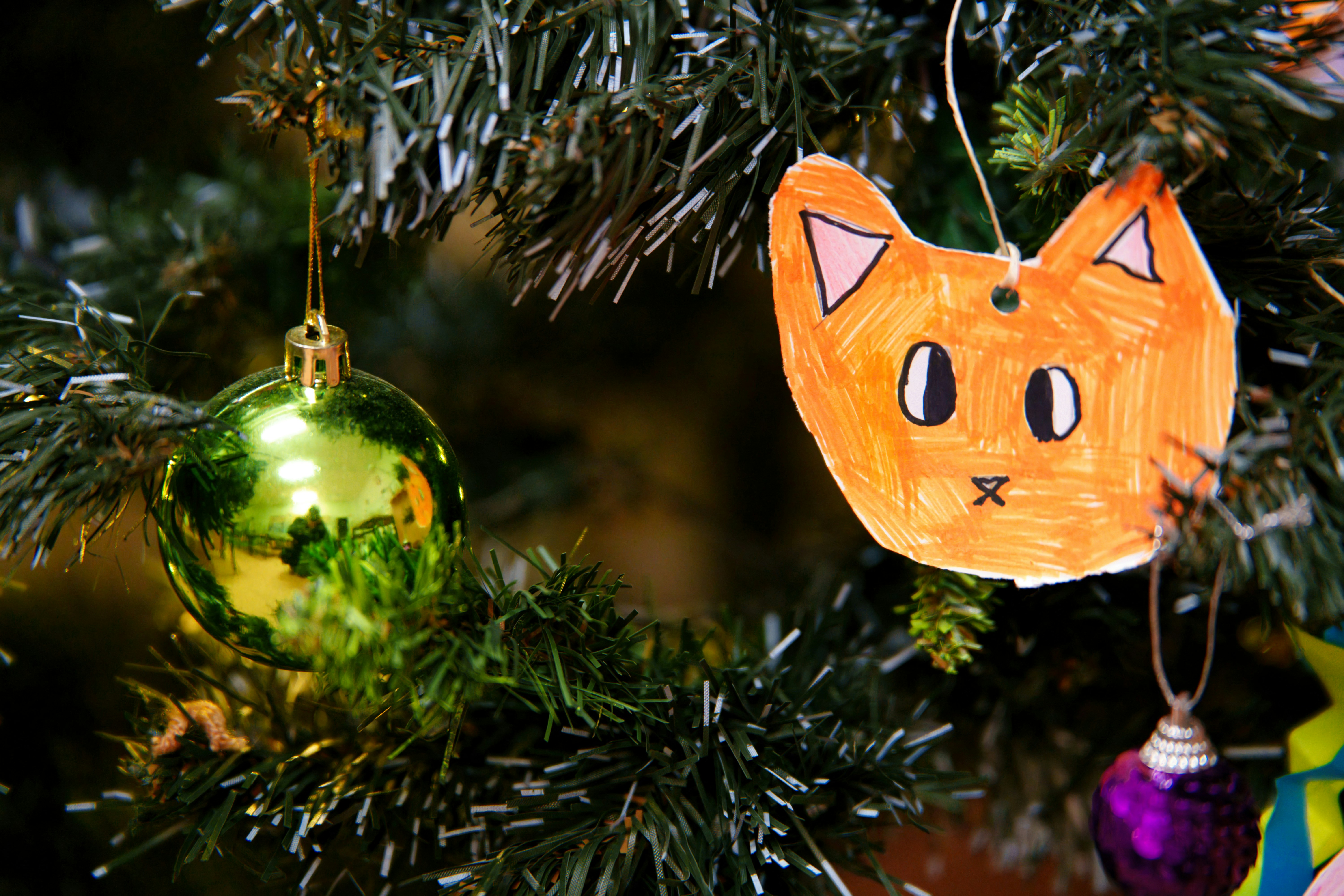 Whiskered Ornament in Focus: A Warm Christmas Tree Moment