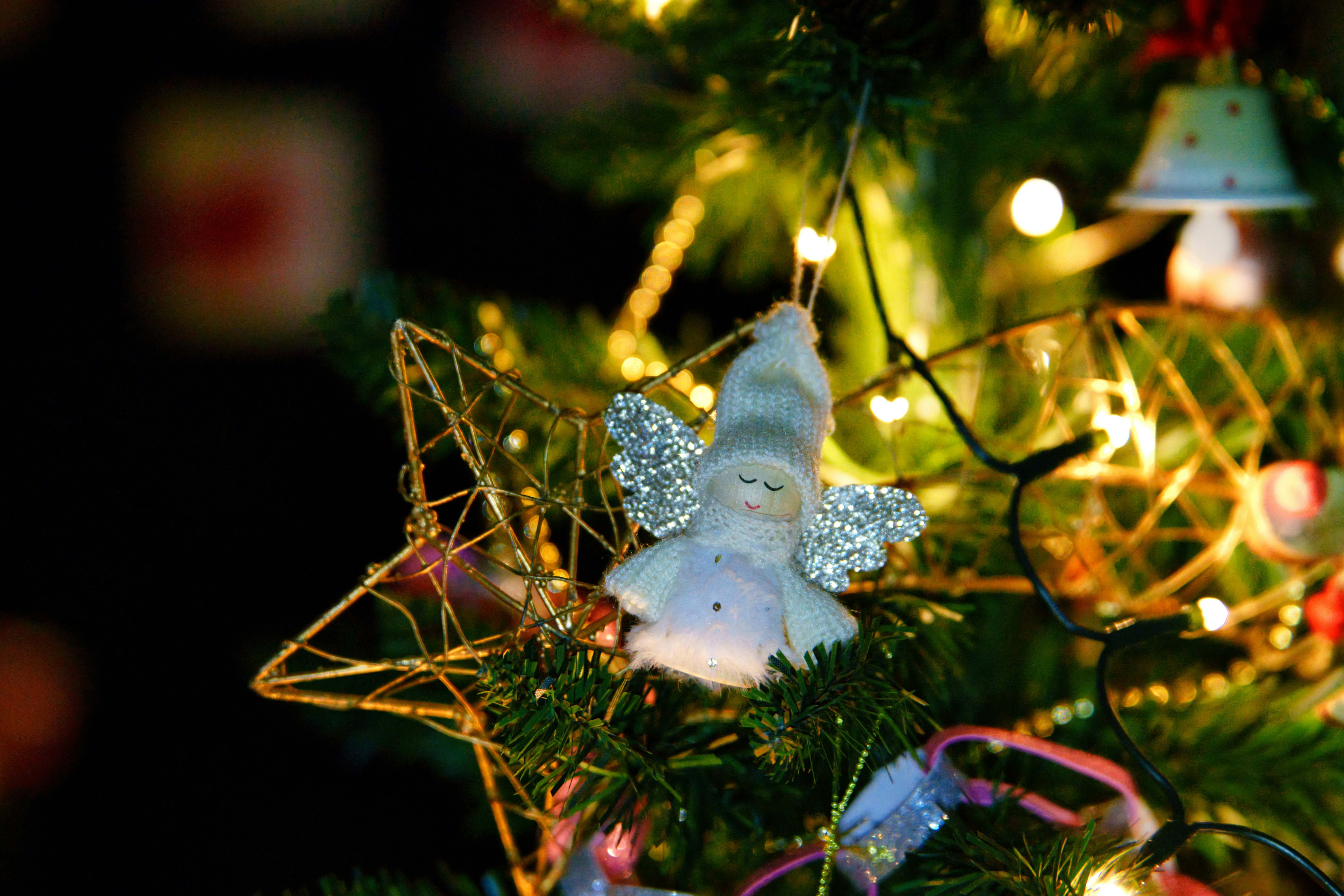 Photo by Tadeusz Zachwieja with Sony Alpha 7R V