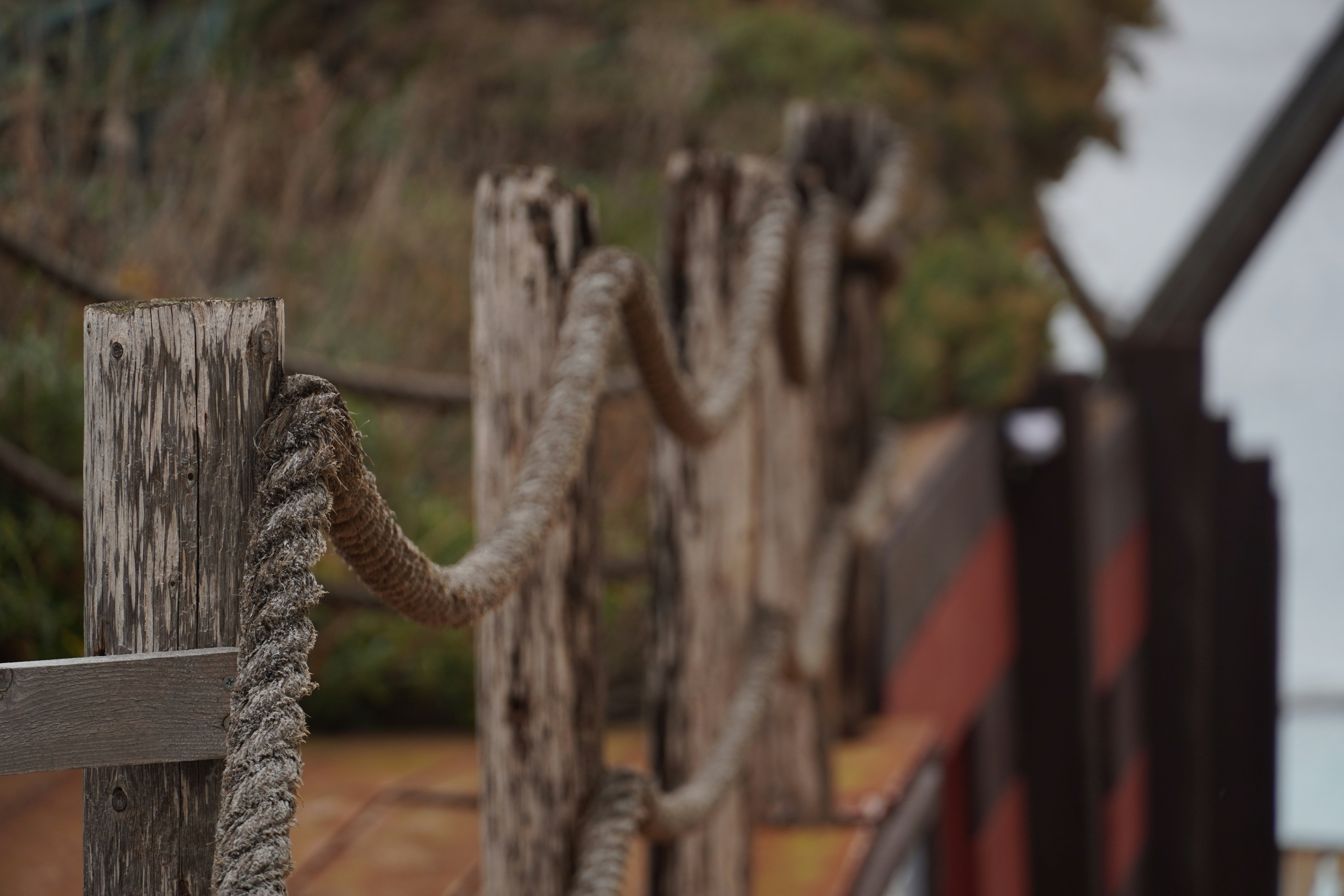 Rope-lined Boardwalk to a Quiet Waterfront