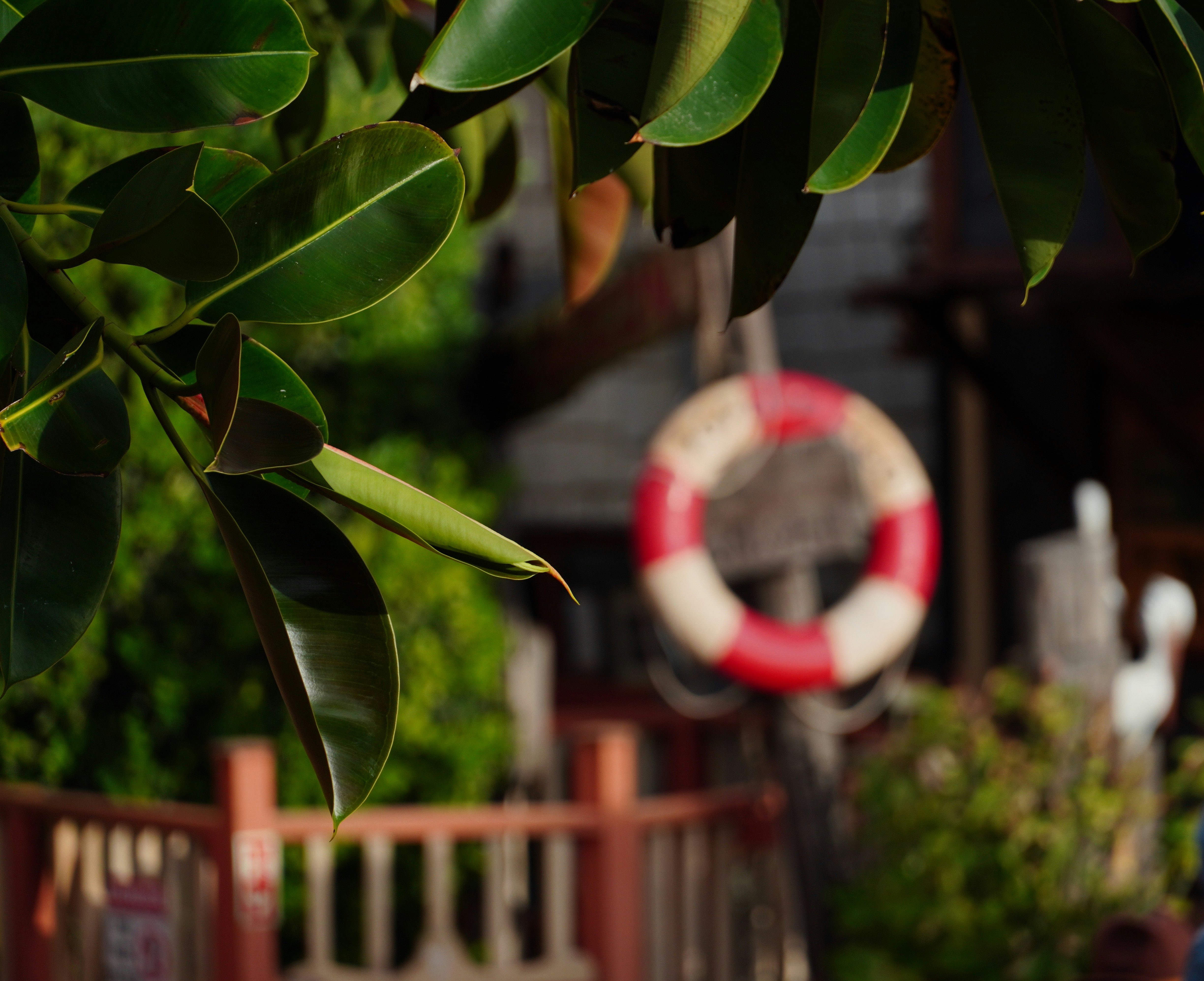 Foreground Leaves Framing a Distant Lifebuoy at a Quiet Shrine