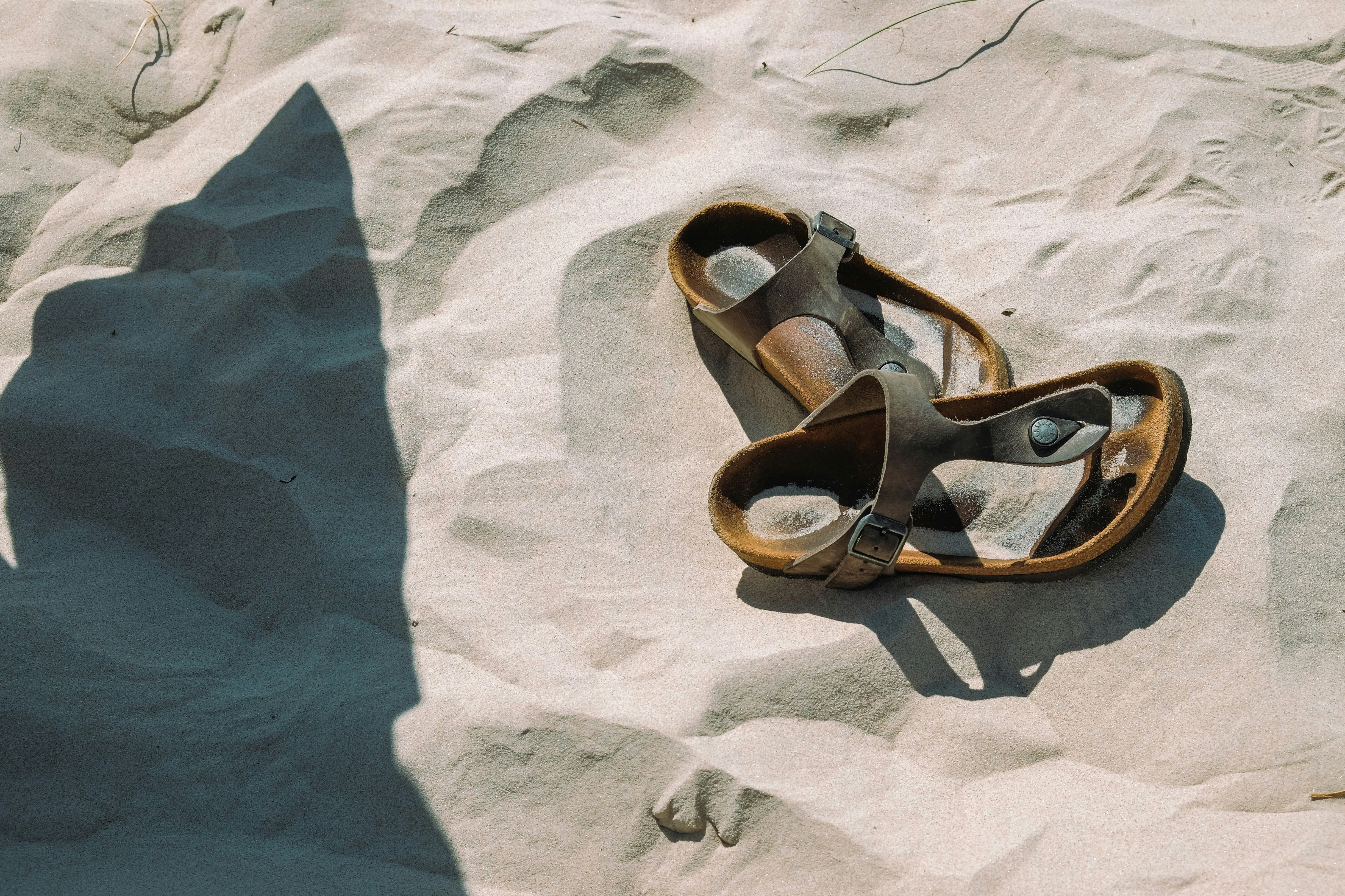 Sunlit Sandal Still Life: Leather on Dune