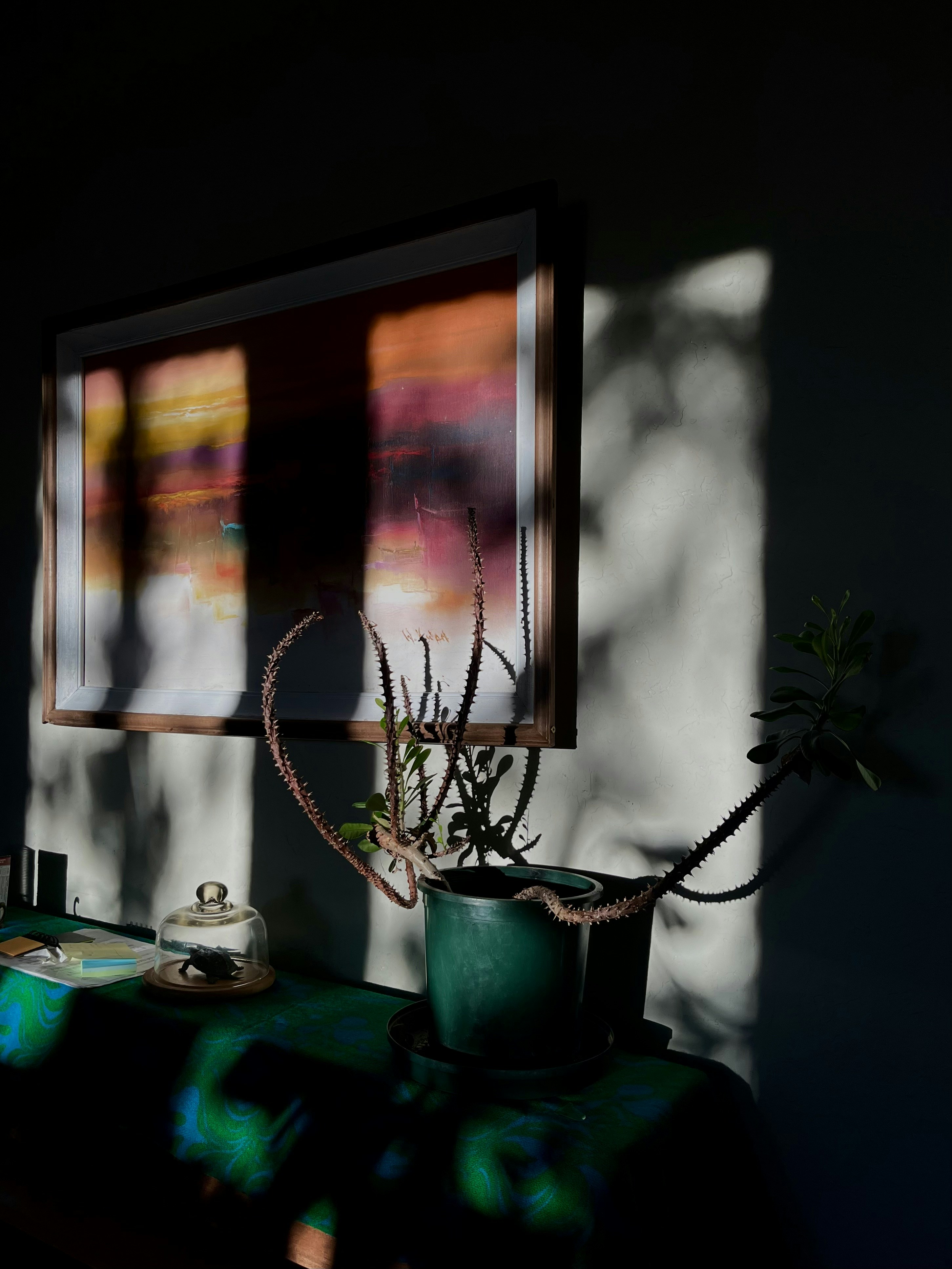 Dappled Light on a Green Pot: A Quiet Still Life