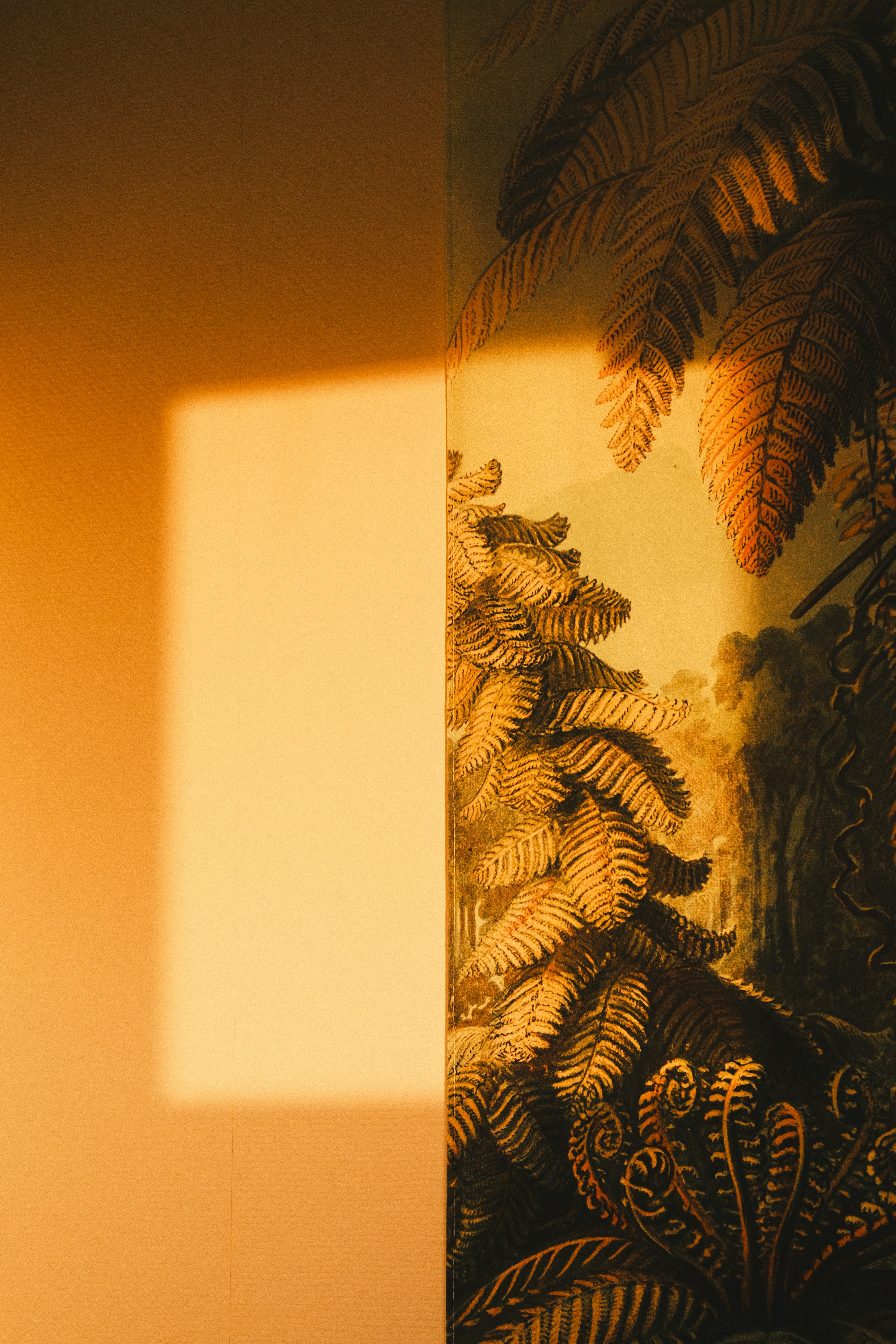 Golden sunlight casts a soft glow on botanical wallpaper featuring detailed fern illustrations, creating a warm contrast between light and shadow.
