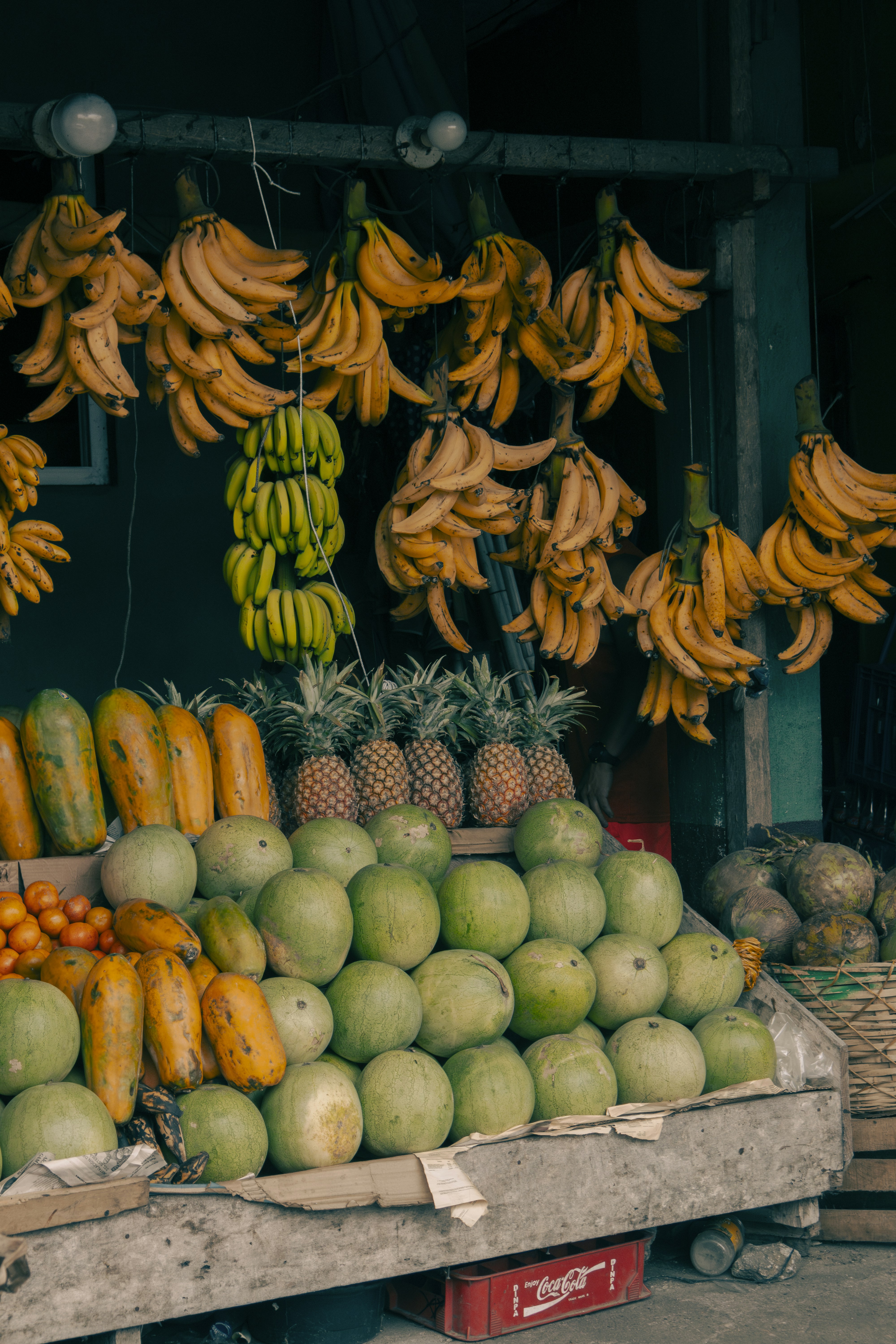 Photo by Kevin Serech with Canon EOS R100