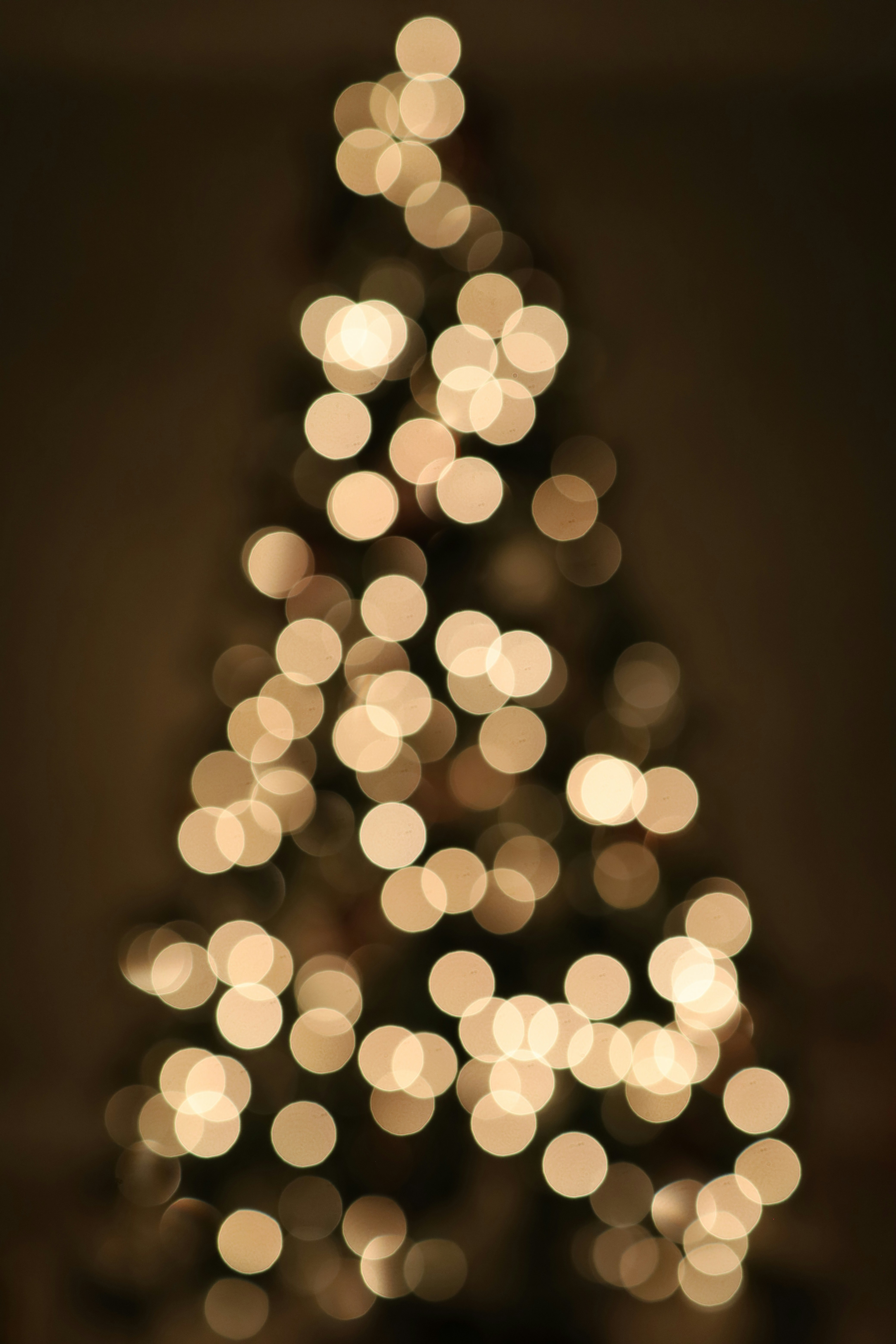 Softly blurred Christmas tree lights creating a warm, festive atmosphere.