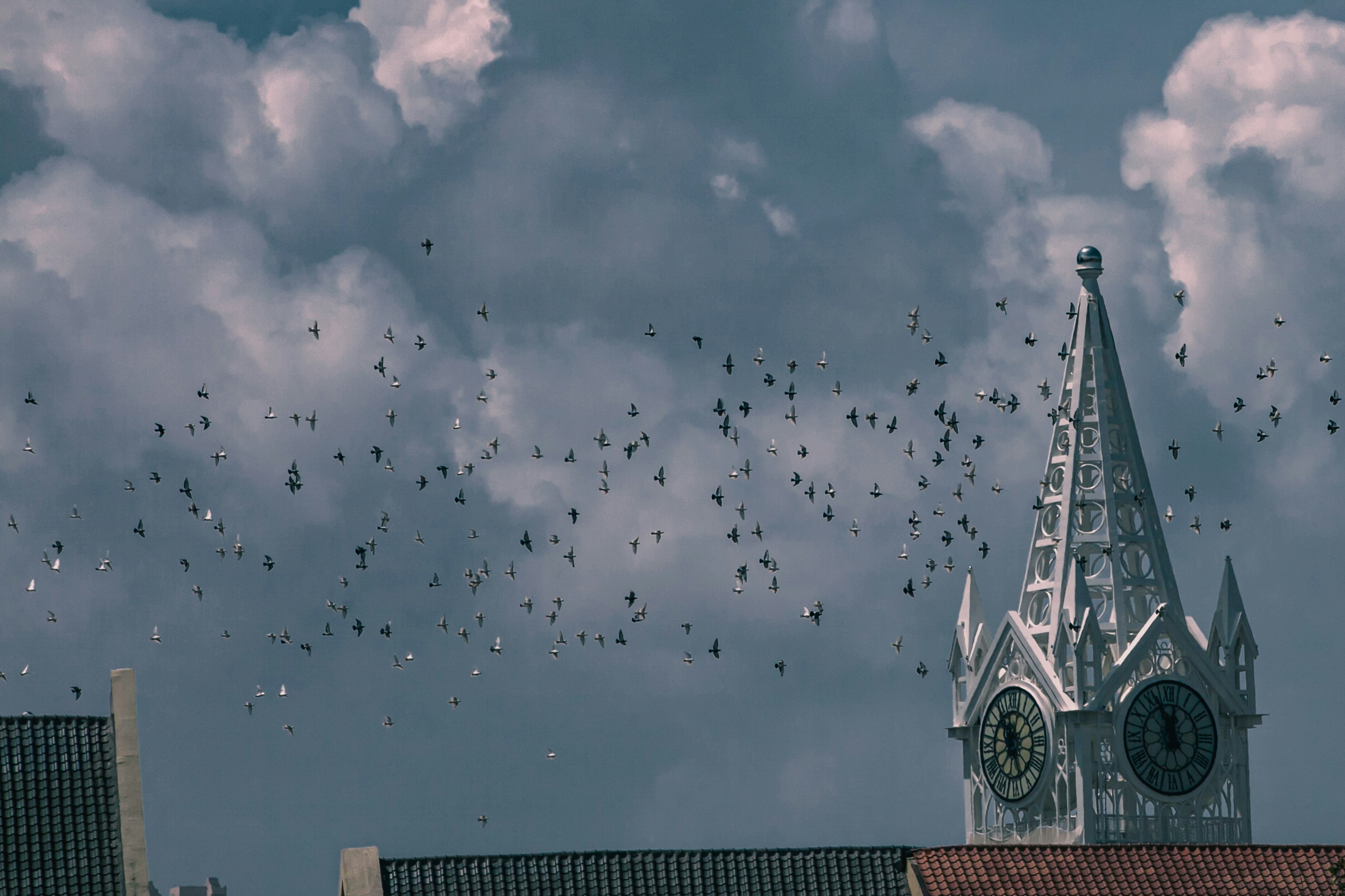 Flock of birds soaring past a church steeple under a cloudy sky.