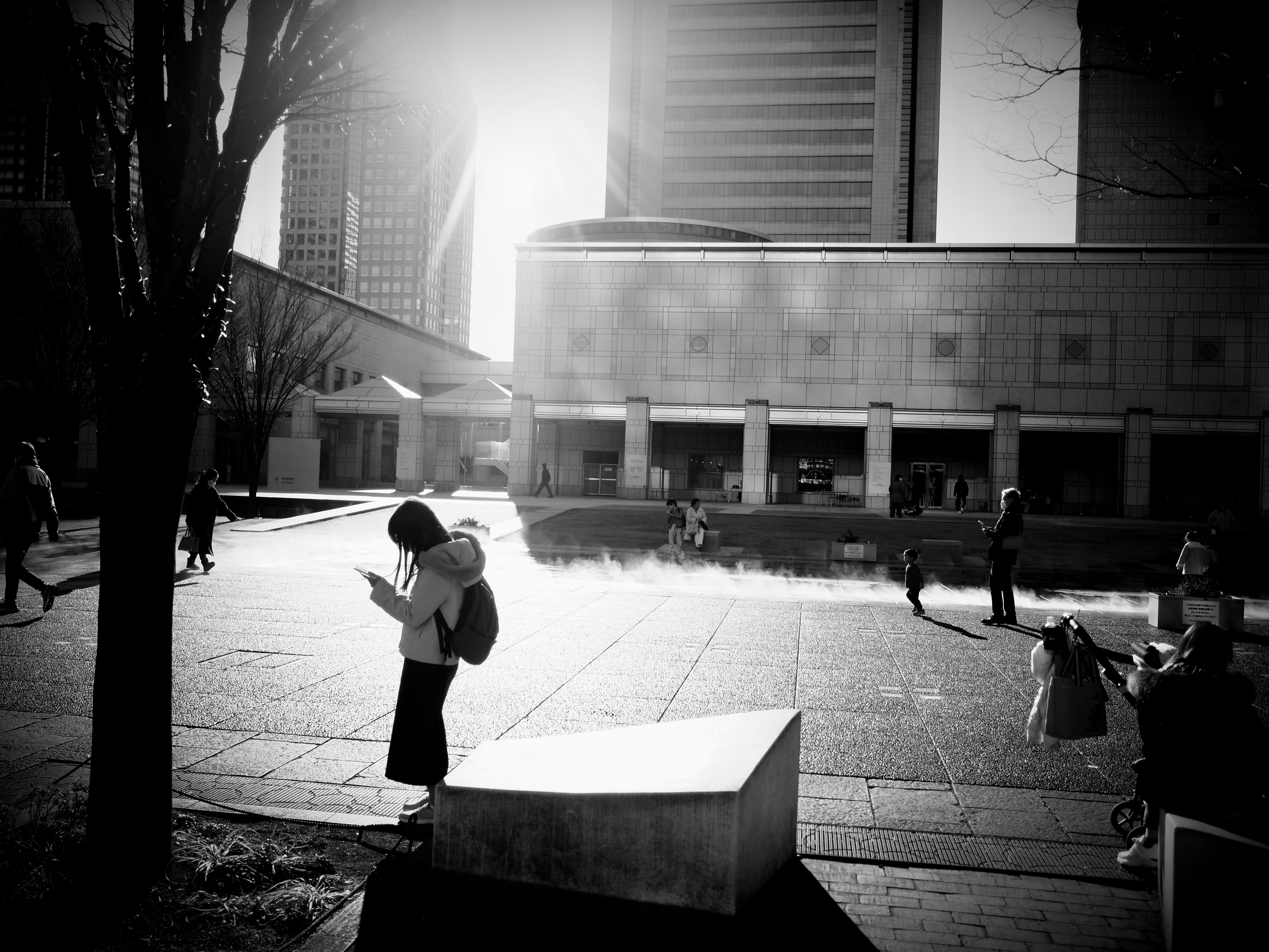 A person standing on top of a skateboard ramp photo – Free Yokohama ...