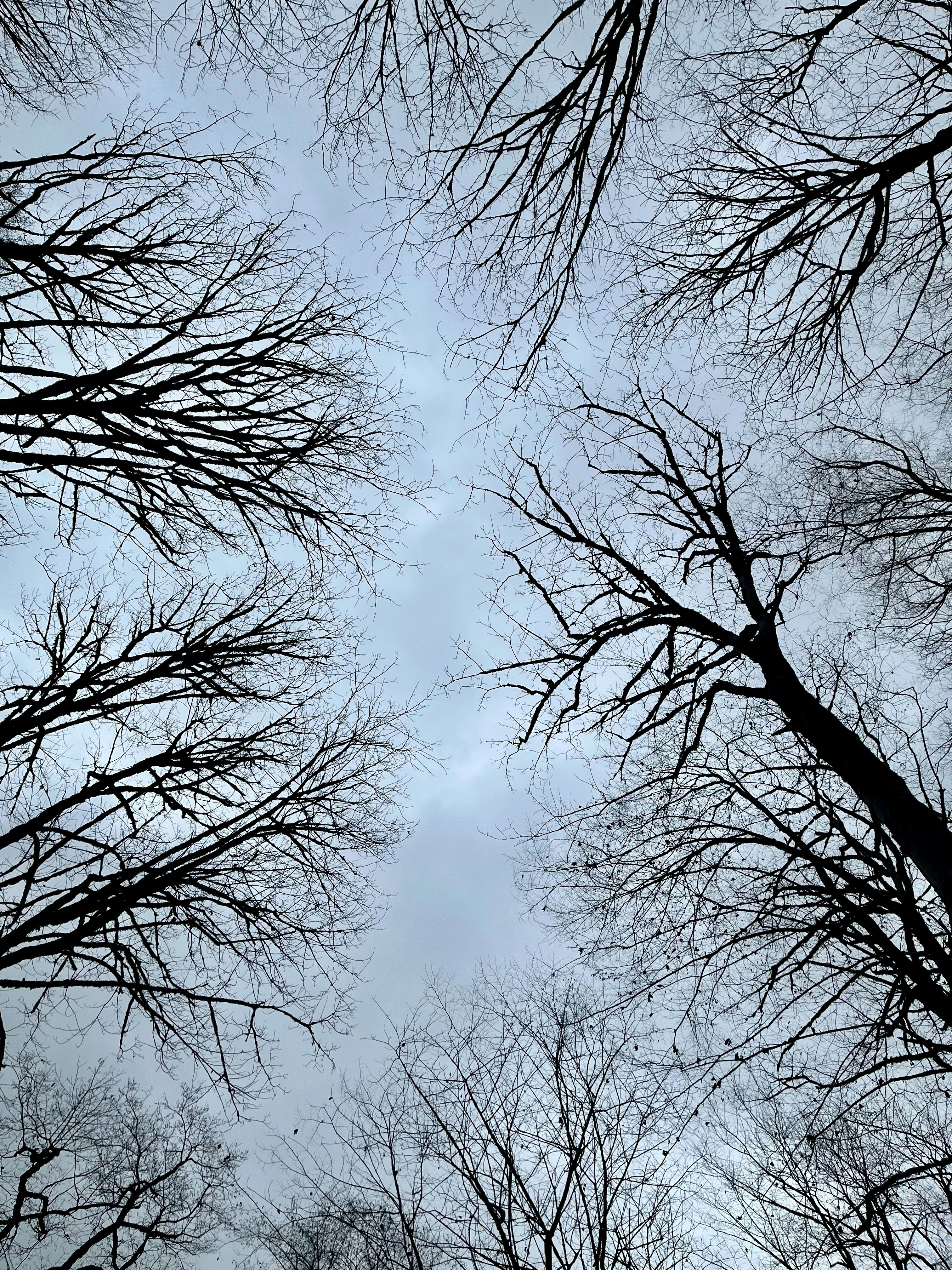 Nima Sh (@nima_sh) | Unsplash Photo Community