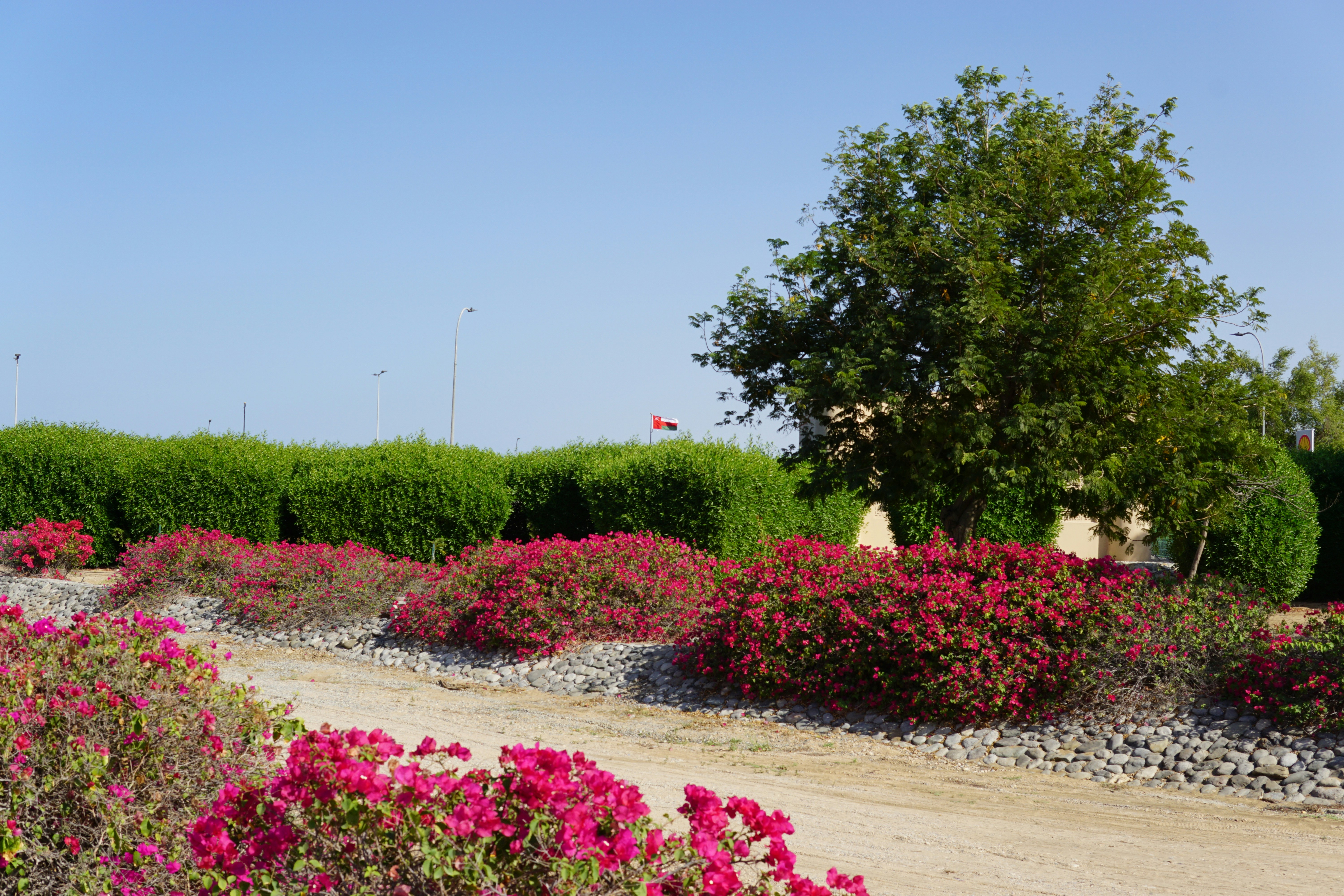 Seeb City Guide | Things to Do & Travel Tips | TravelPal