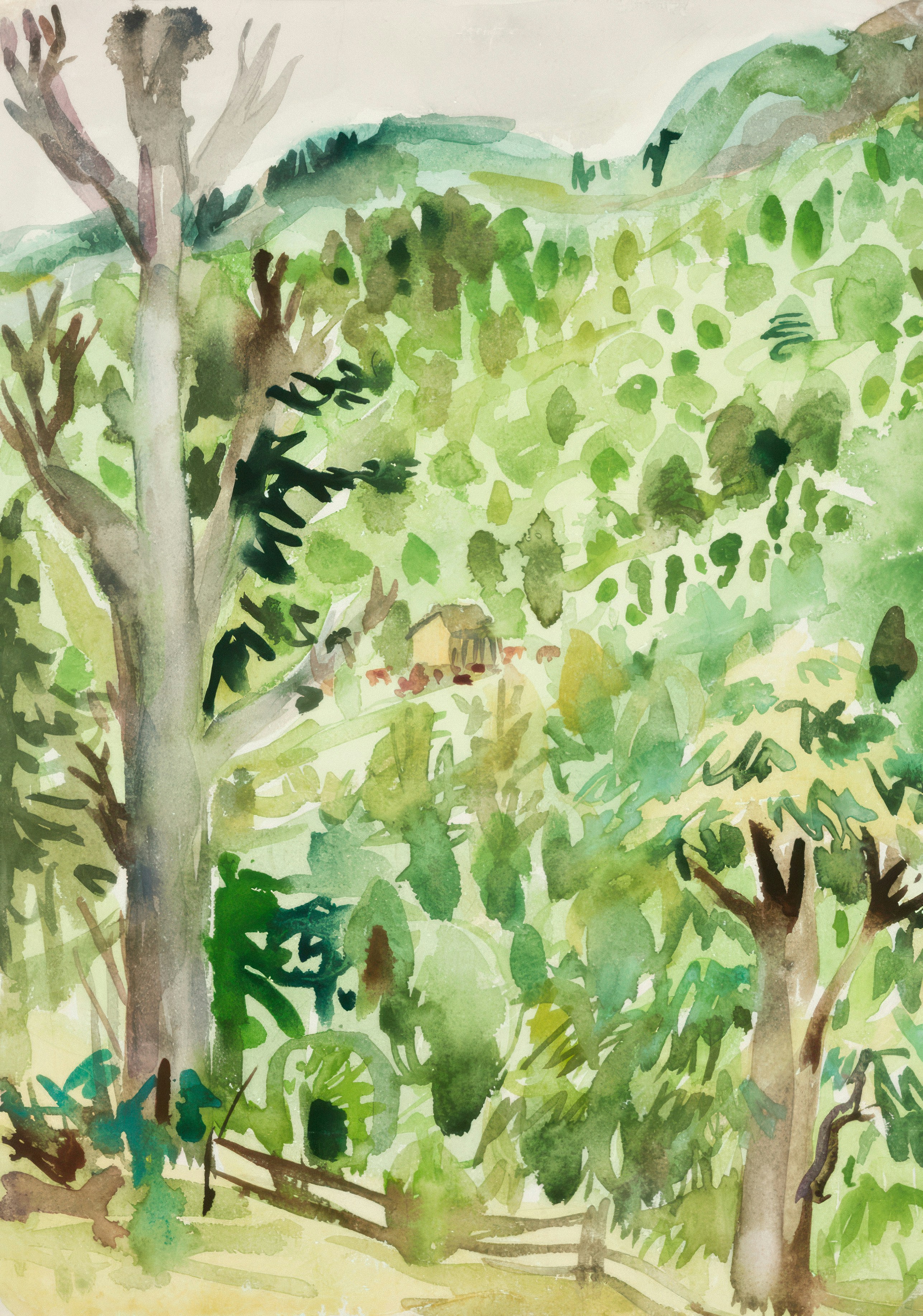 Verdant Valley Cottage Amid Whispering Hills