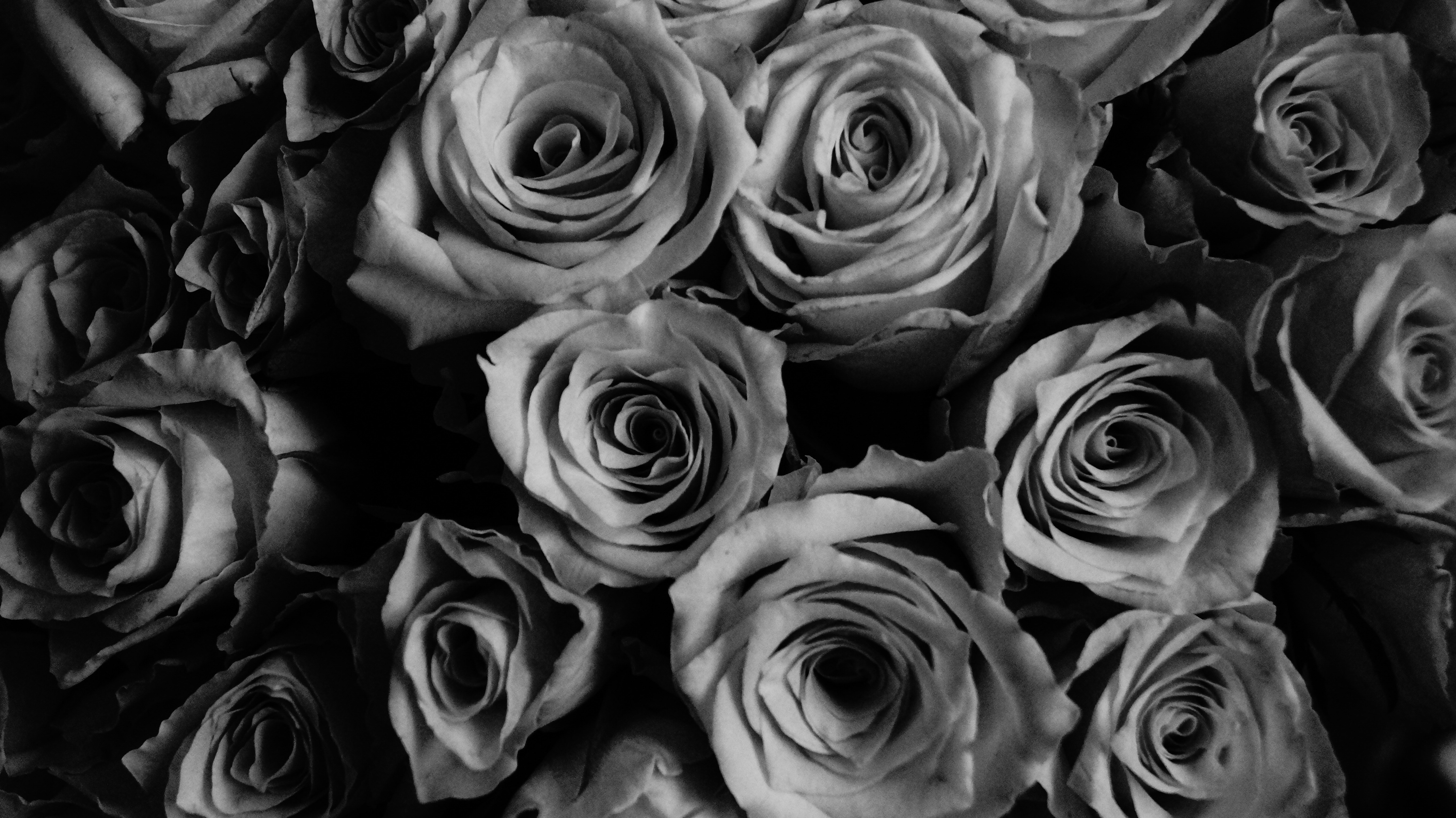 Photo by Hanna Pysareva with Sony Alpha 58