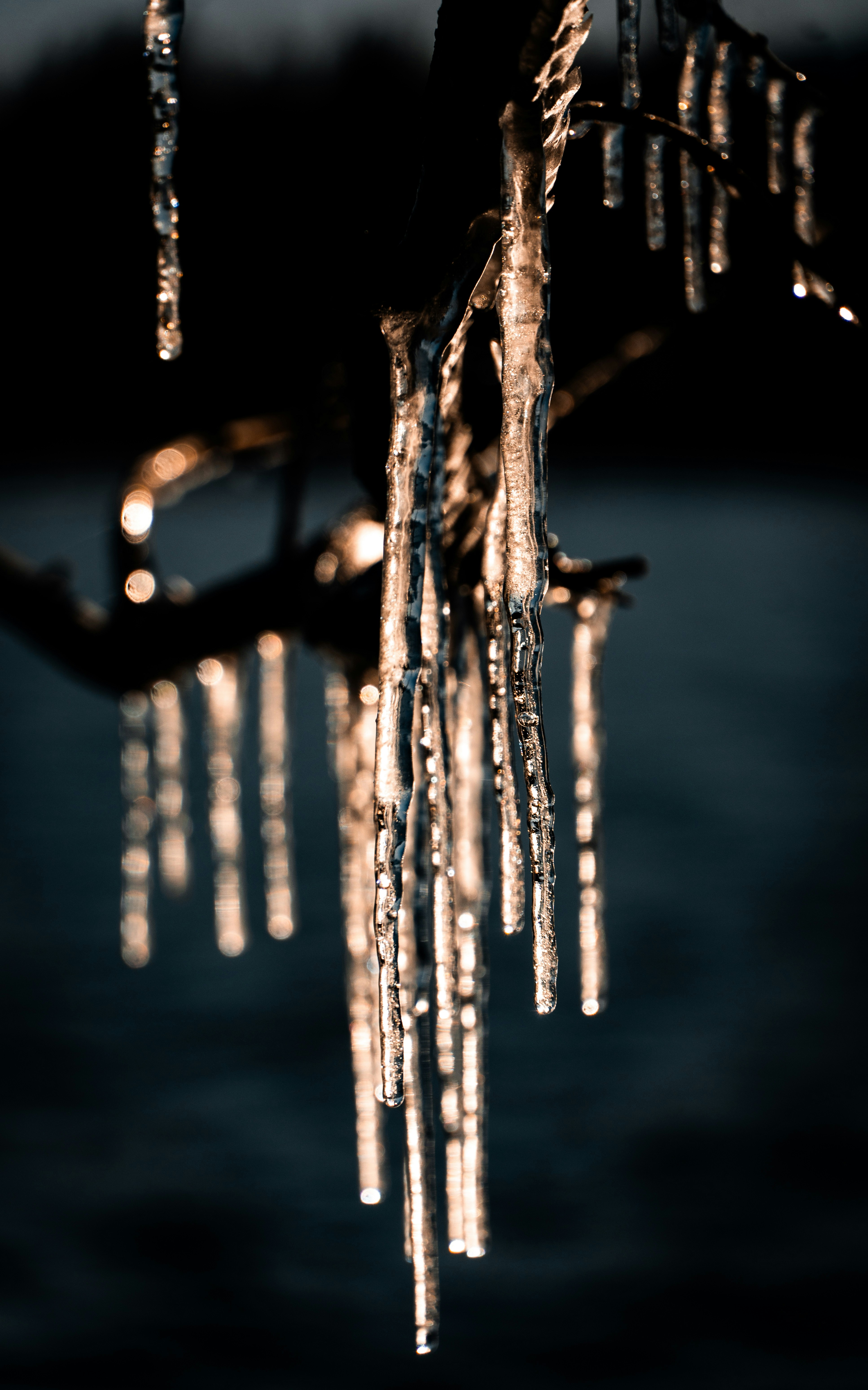 Photo by Nishat Samadzai with Sony Alpha 6700