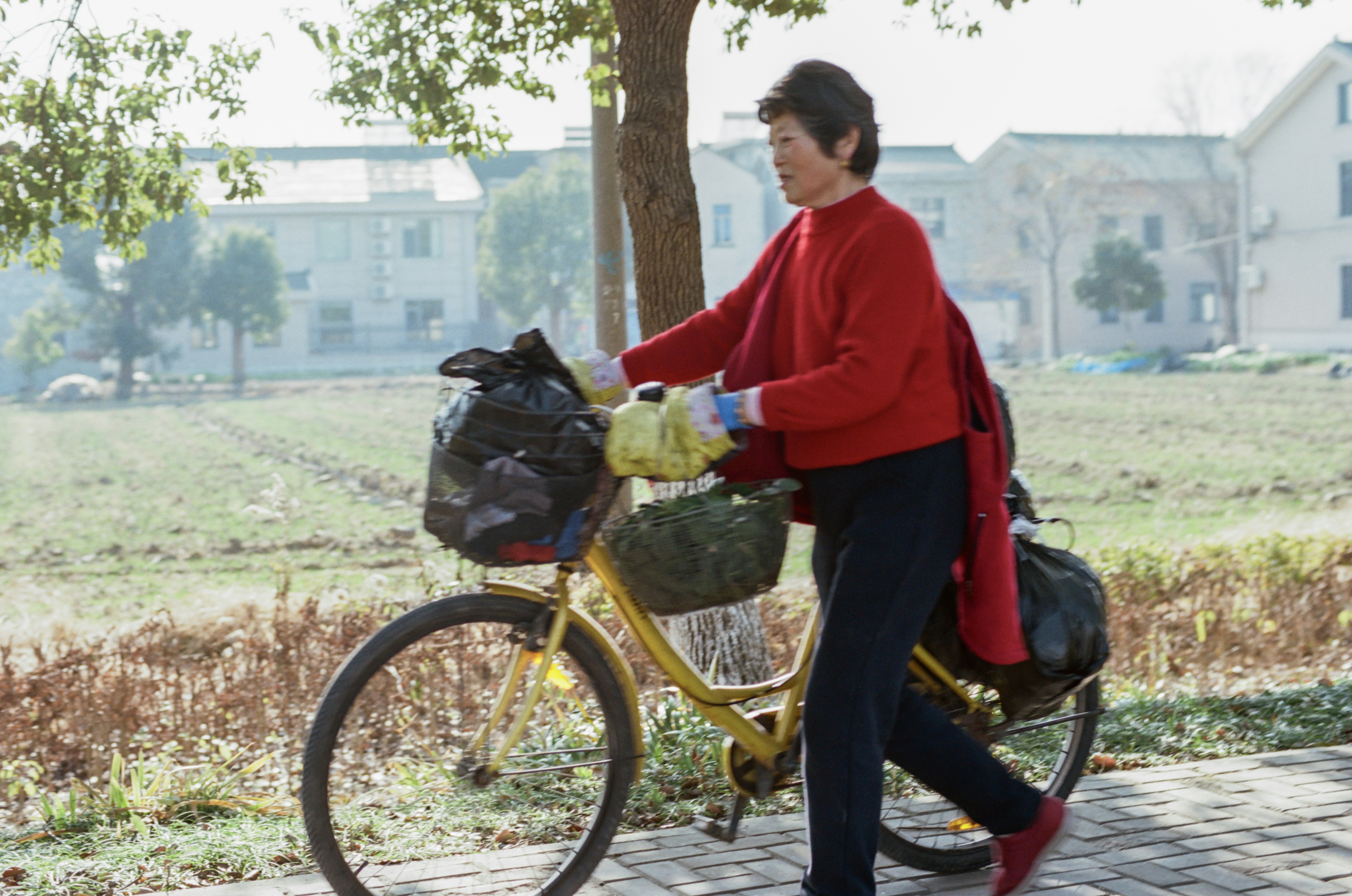 A person riding a bike with a bag on the back photo – Free Glove Image ...