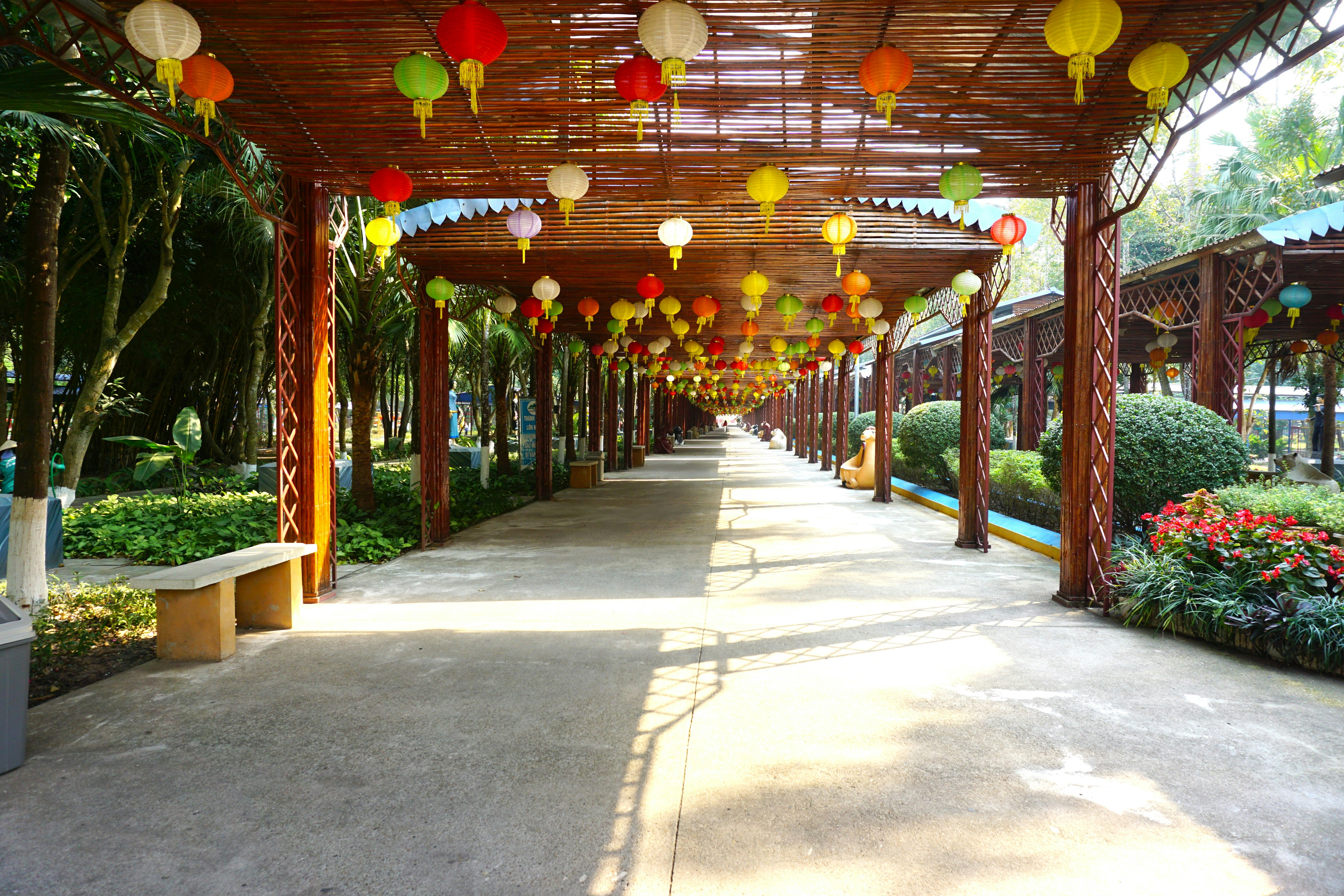 A walkway lined with lots of colorful lanterns photo – Free City Image ...