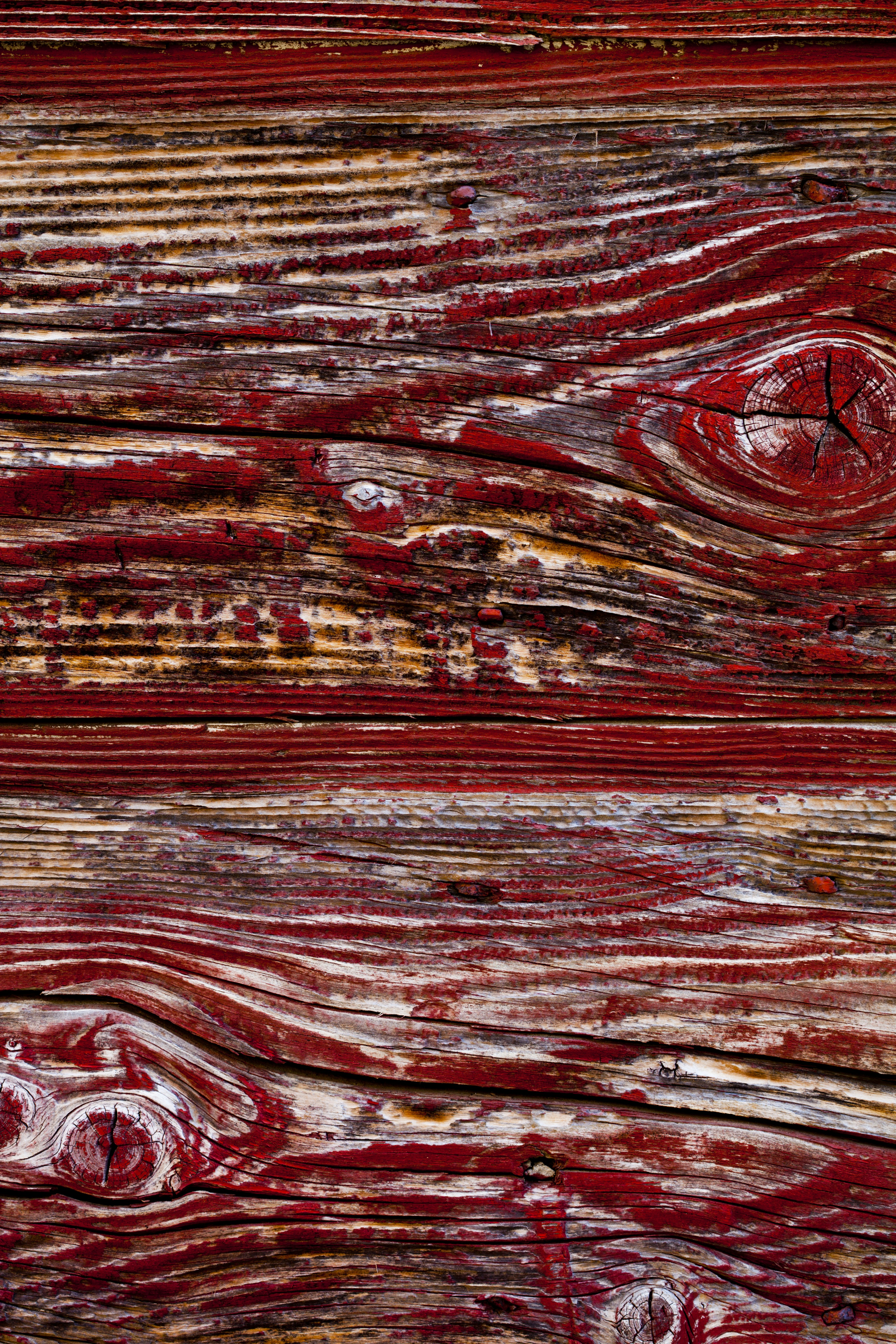 Crimson Grain: Weathered Wood Rings in Red