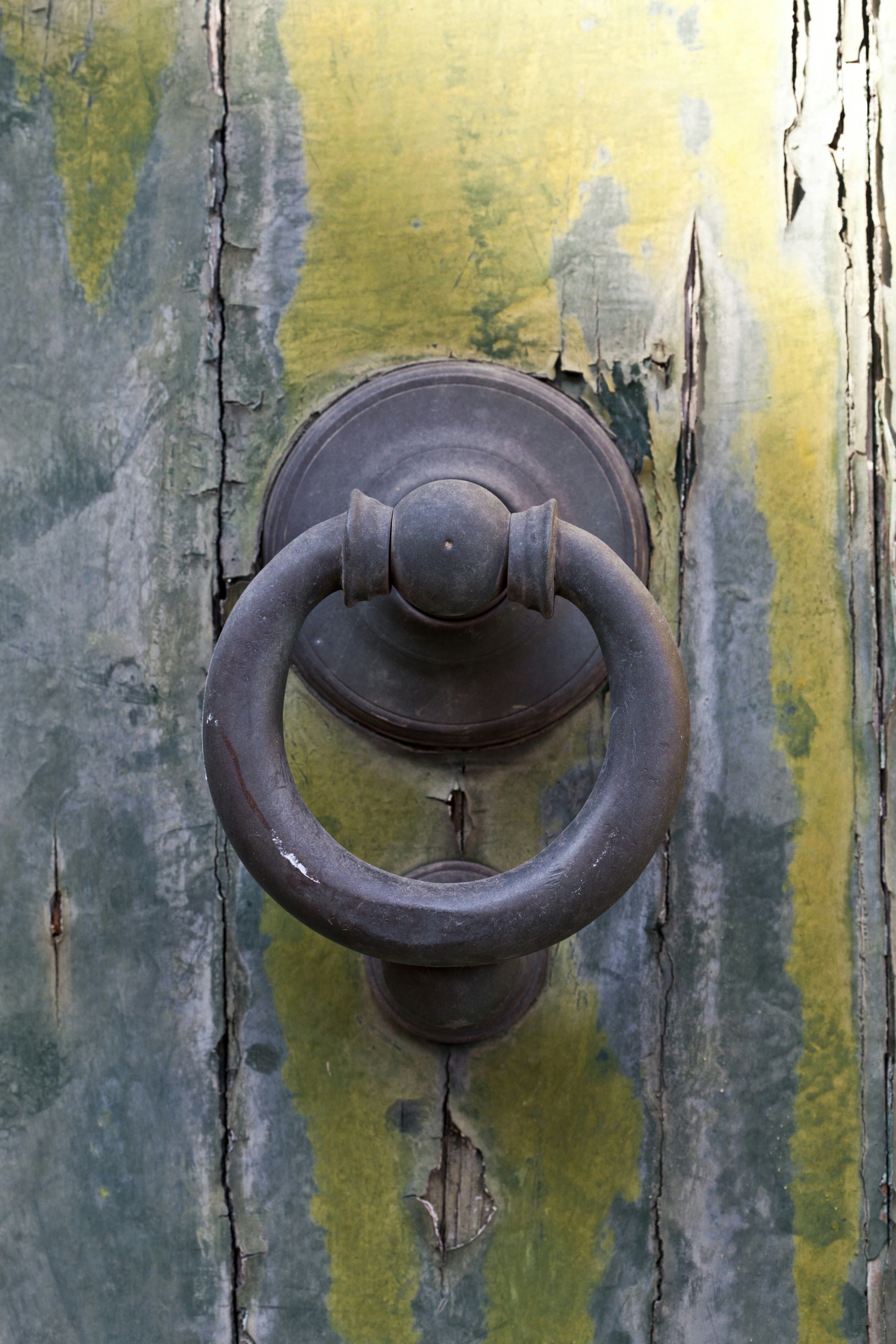 Patinaed Door Ring: Timeworn Green Wood and Its Circular Sentinel