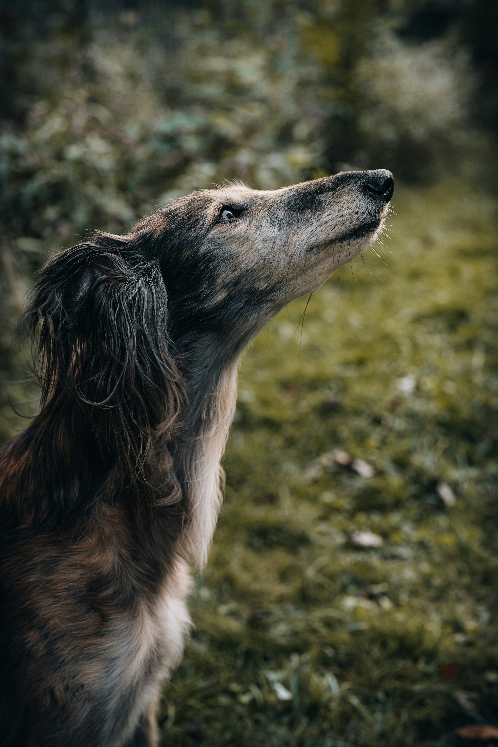 Jackie Best (@bugsandslugs) | Unsplash 사진 커뮤니티