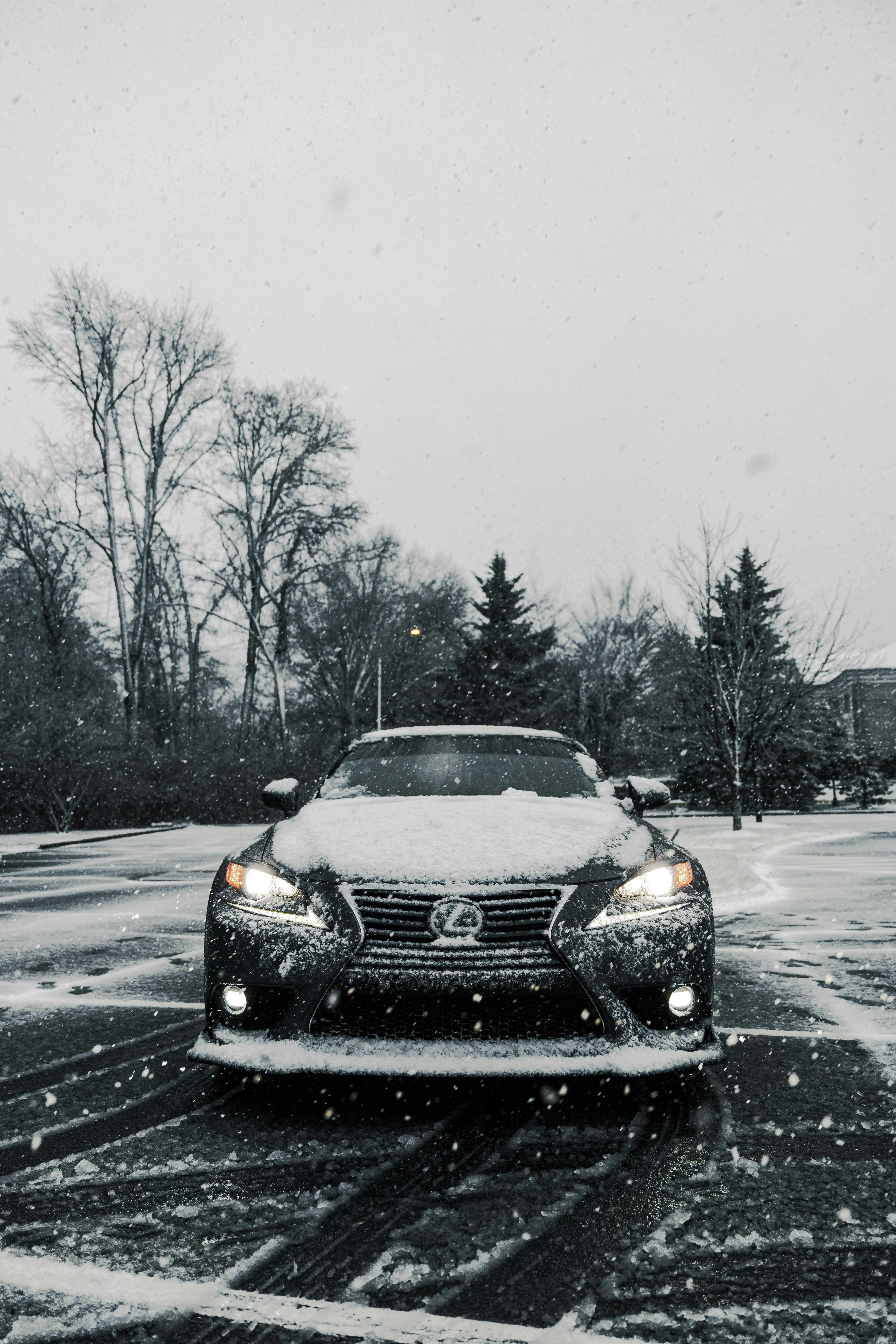 Whiteout Front View: Snow-Covered Car Pierces the Park Silence