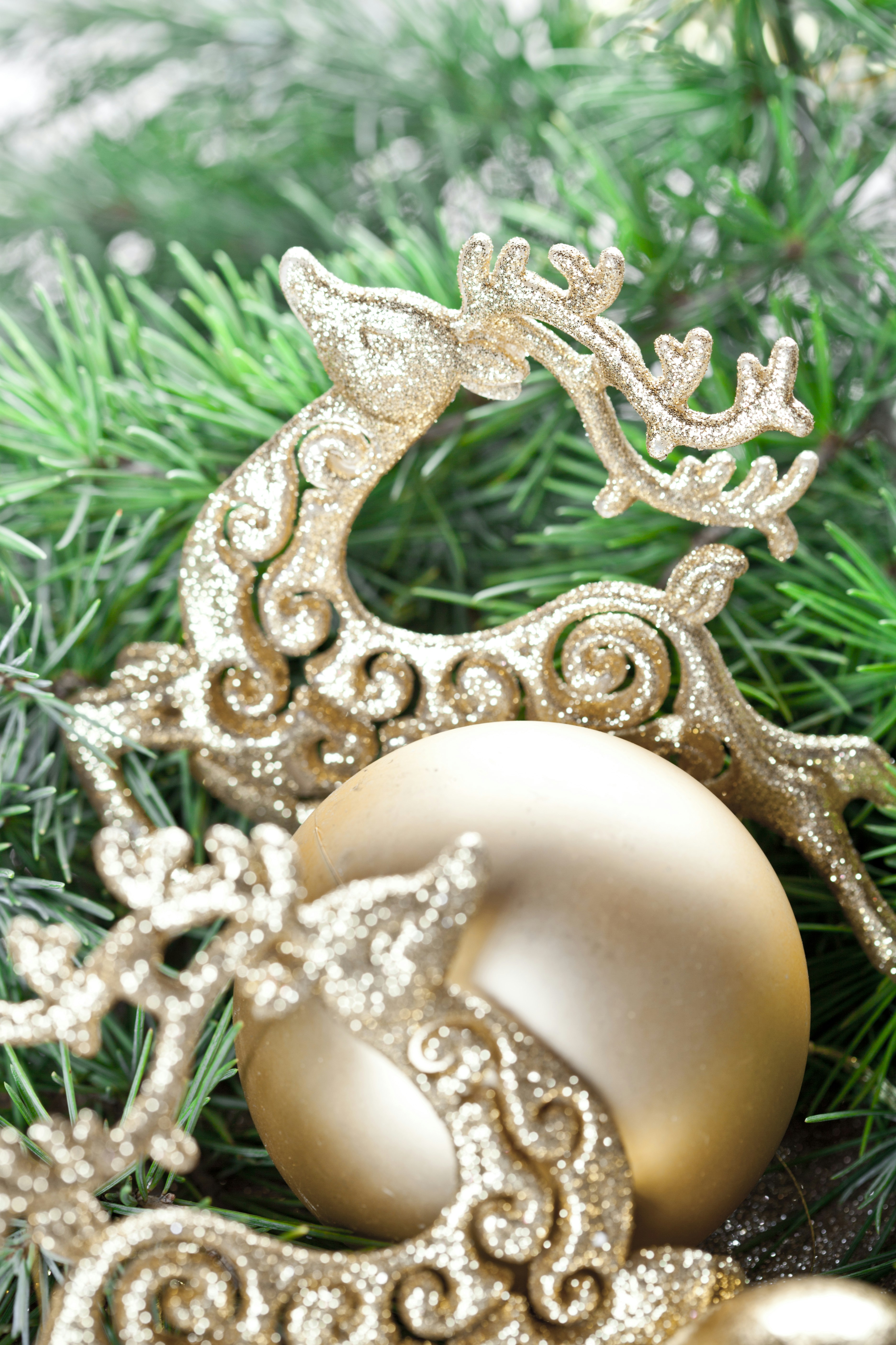 Filigree Crown Cradling a Satin Globe Among Evergreen Needles