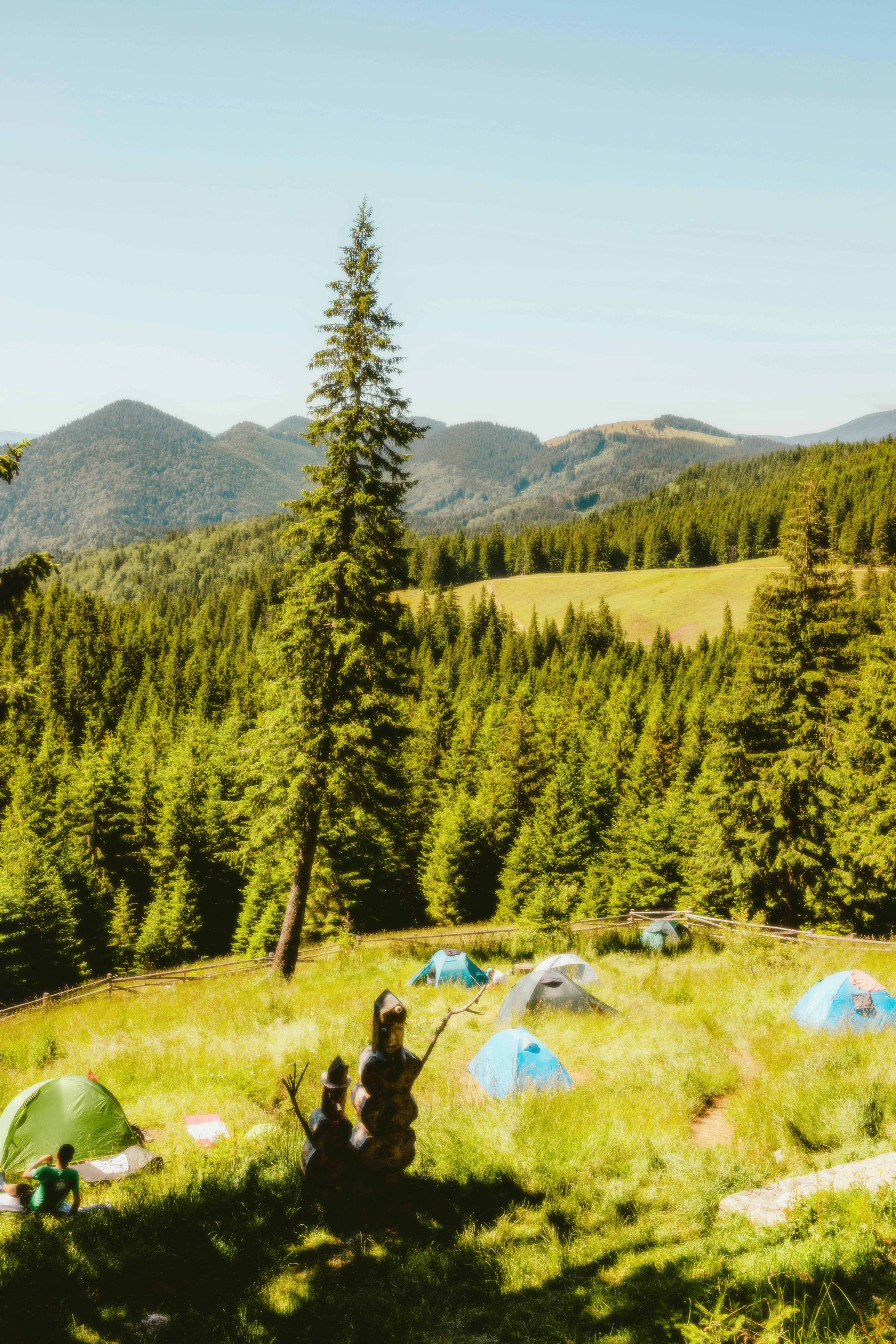 Tall Pine amidst Cresting Hills: A Sunrise Camp
