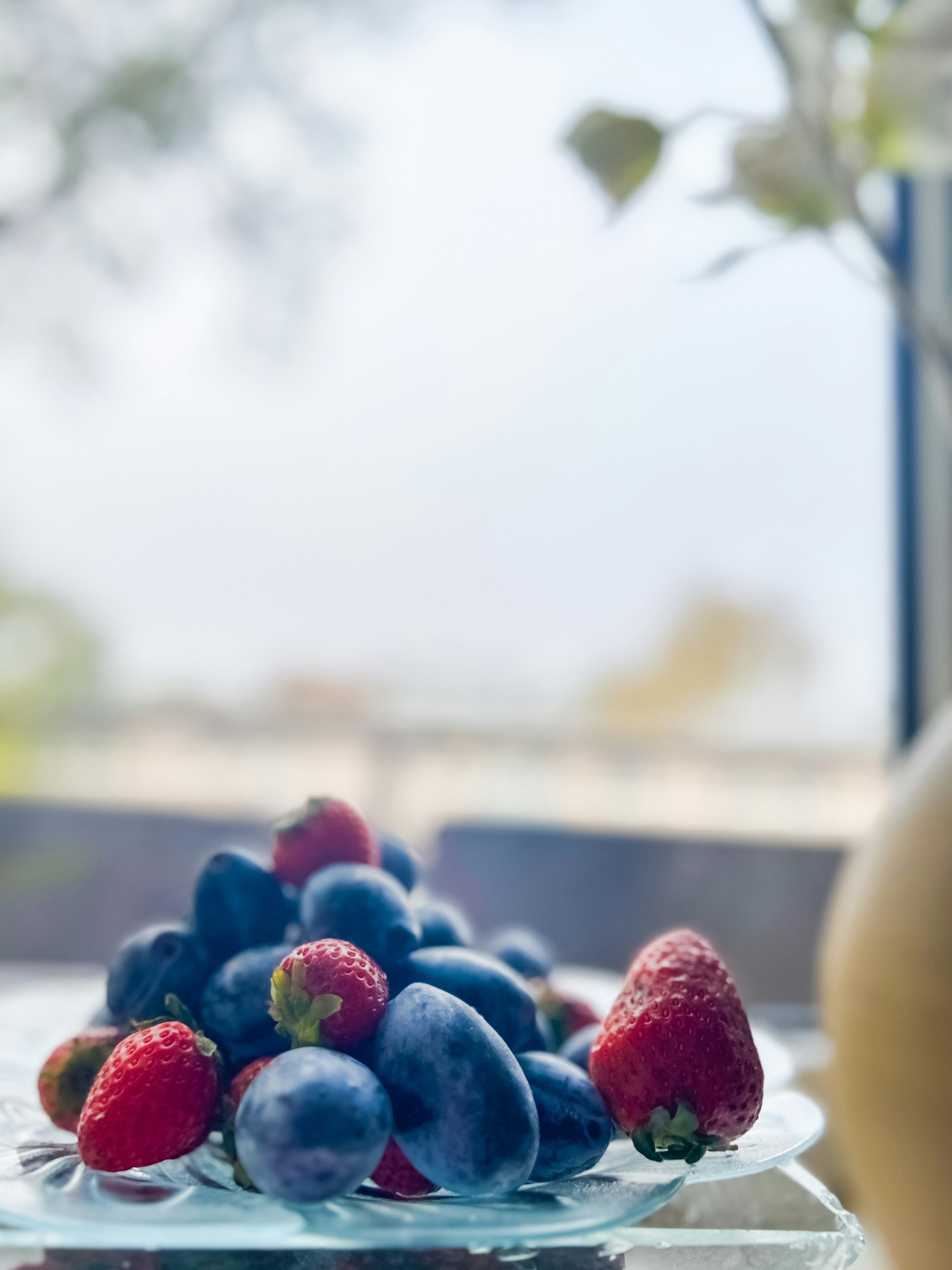 Photo by Spoorthi J with Apple iPhone 14