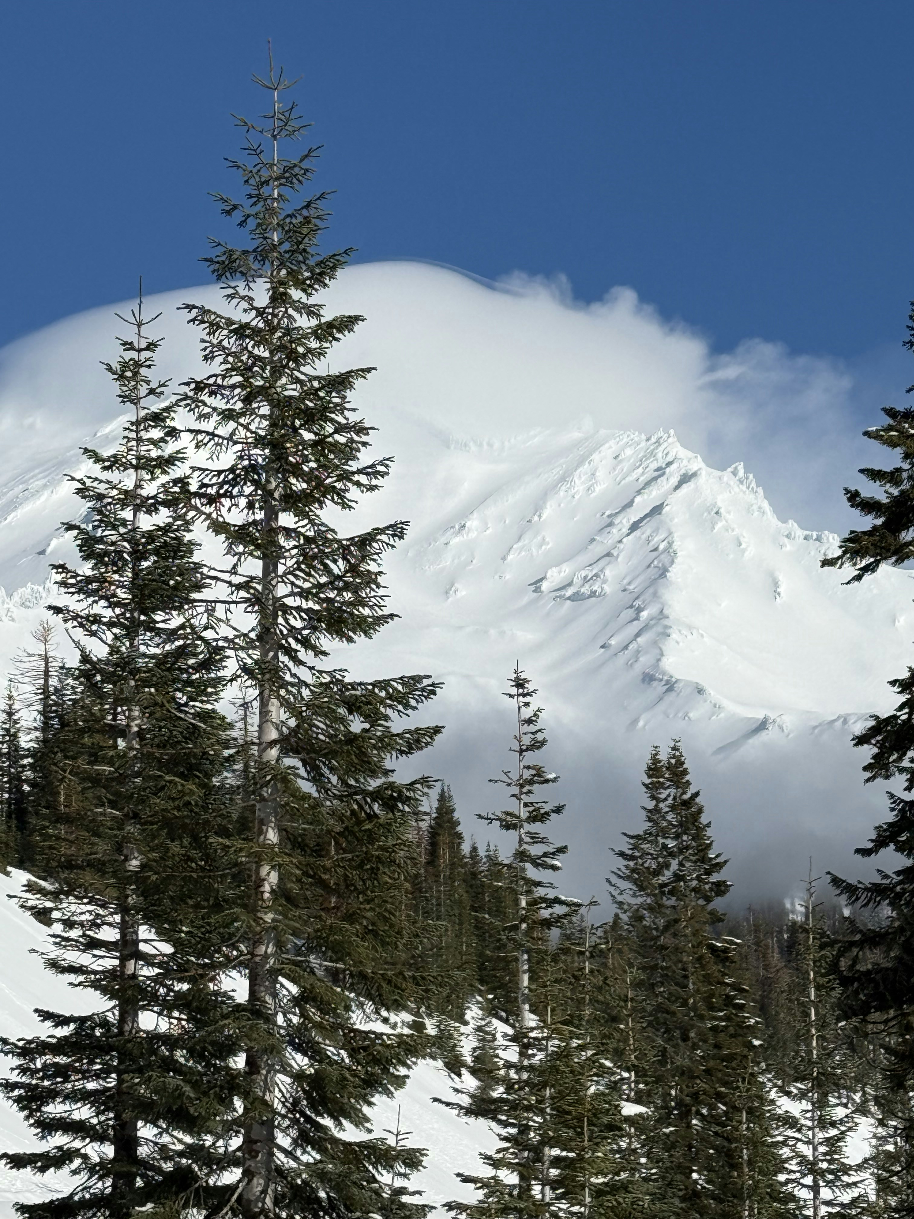 A snow covered mountain with trees in the foreground photo – Free Mount ...