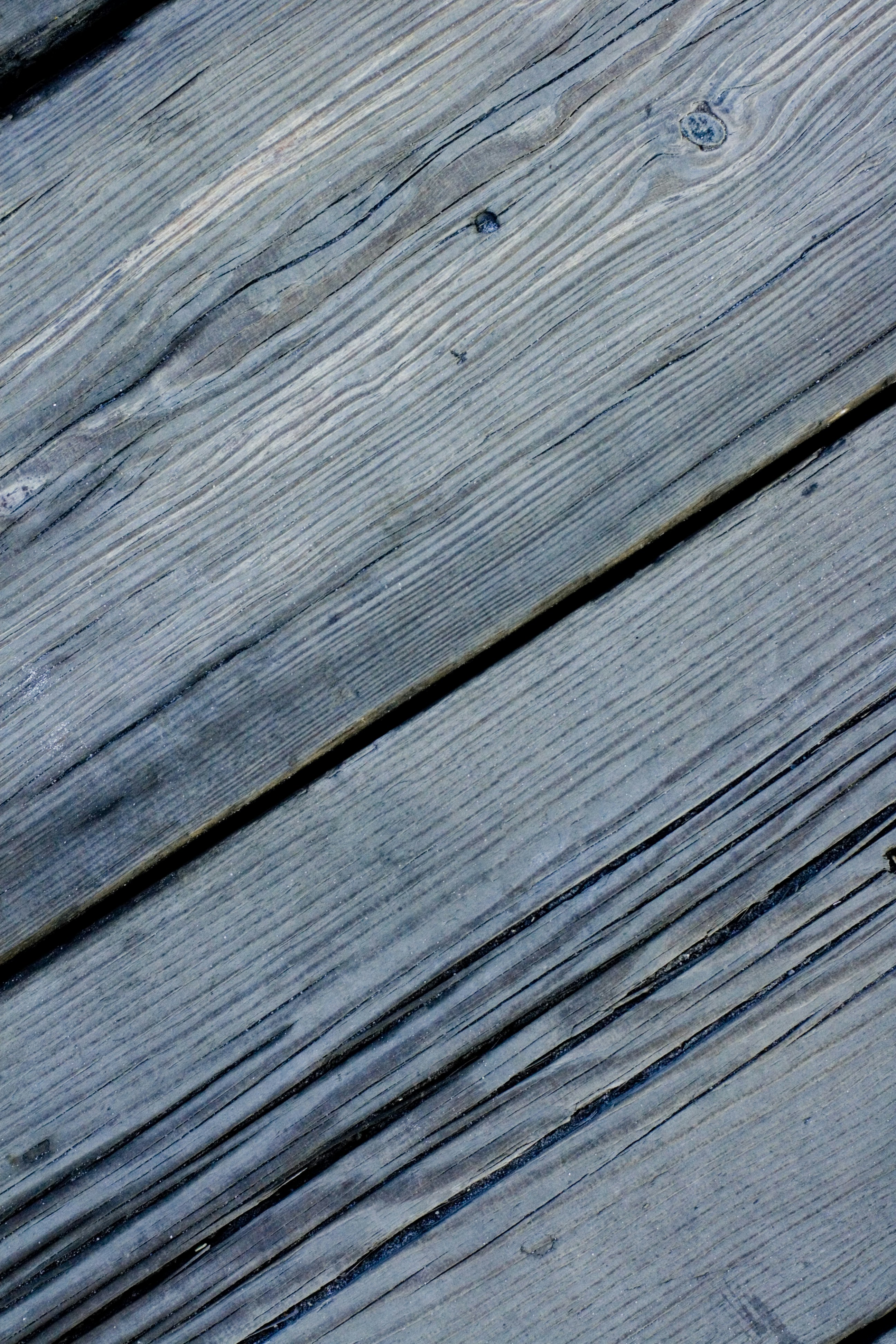 Photo by Maria Kovalets with Canon EOS 400D