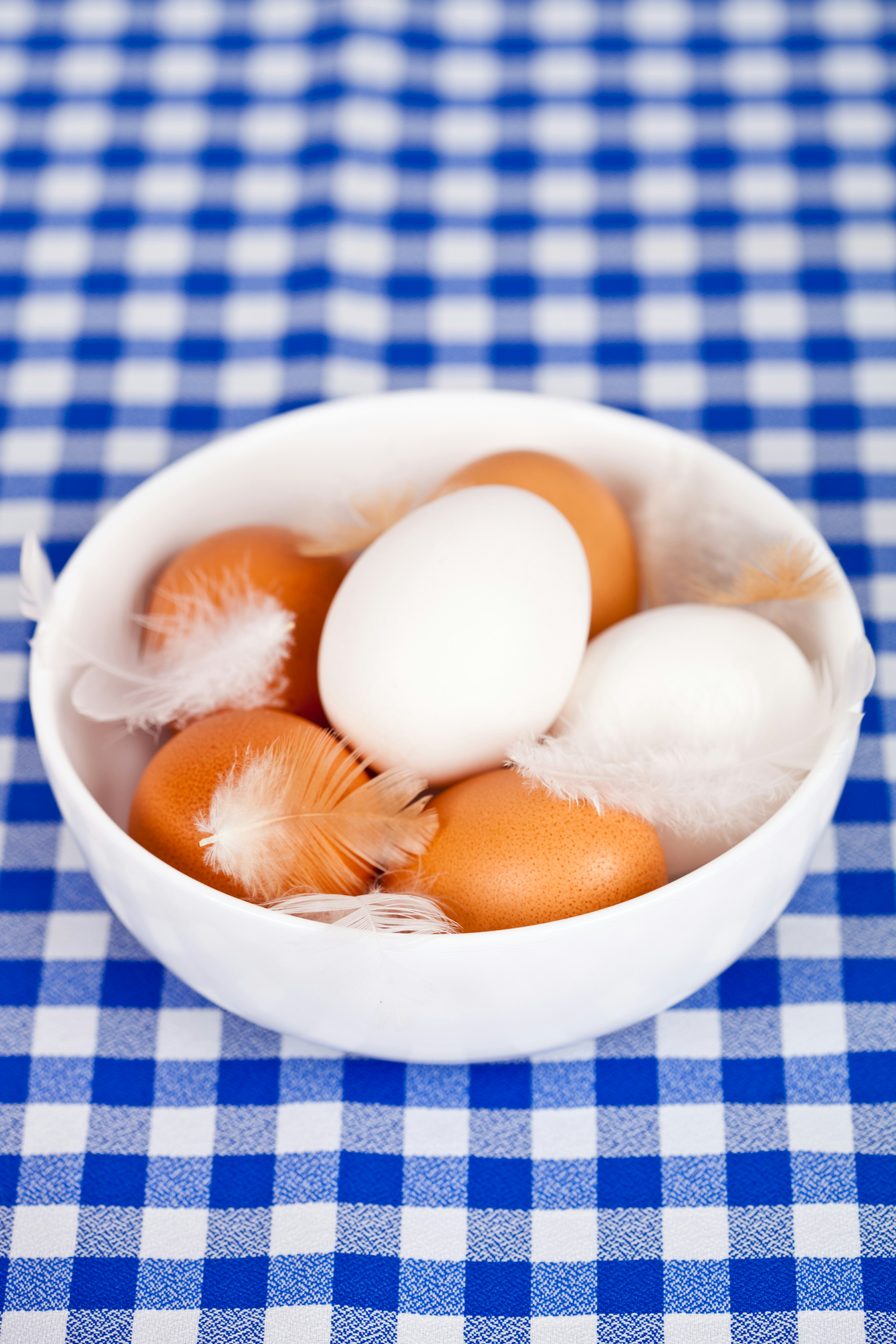 Feathered Shells on a Blue Gingham Table: A Quiet Egg Still Life