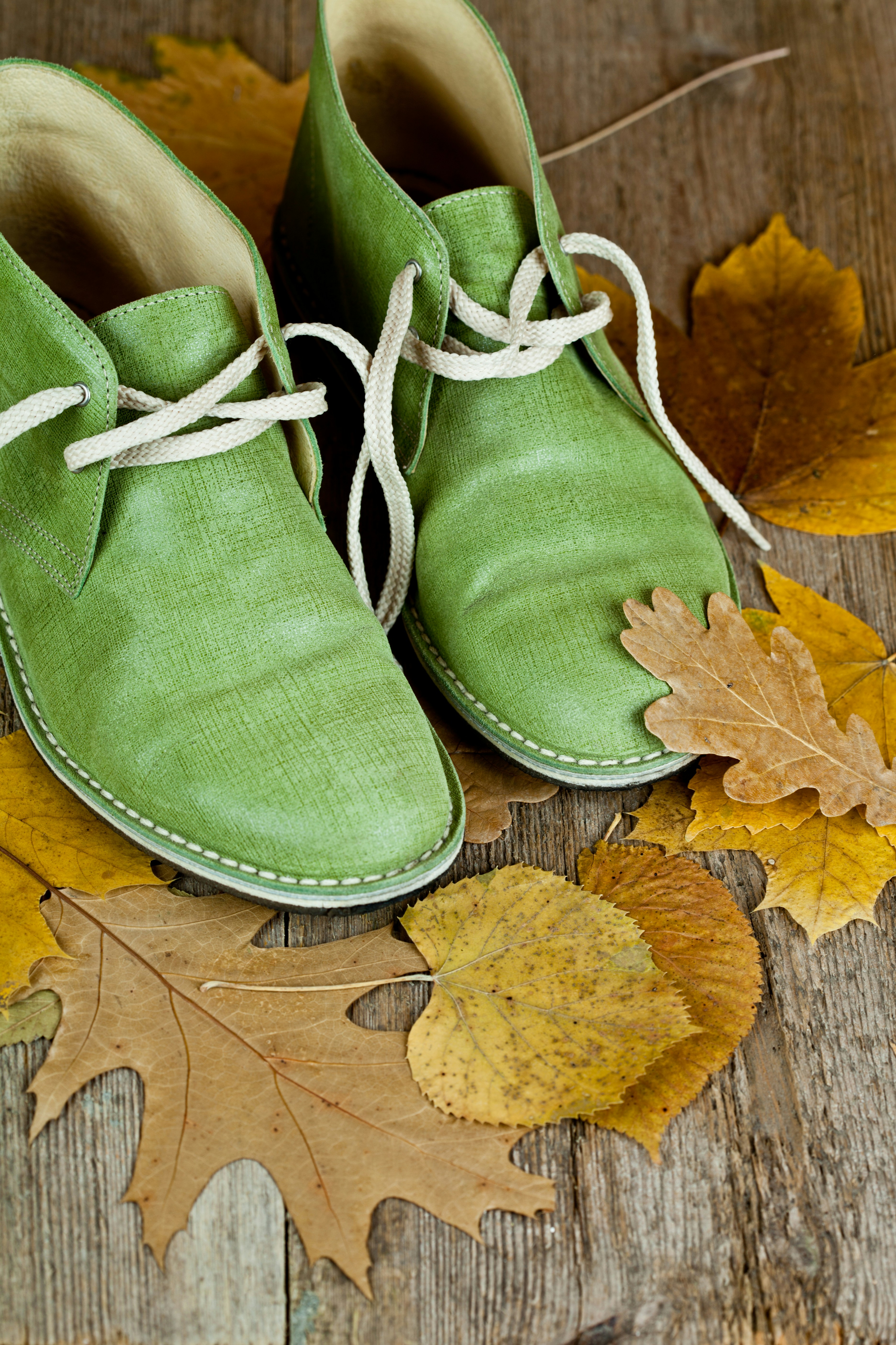 Emerald Steps: Green Shoes Among Autumn Leaves