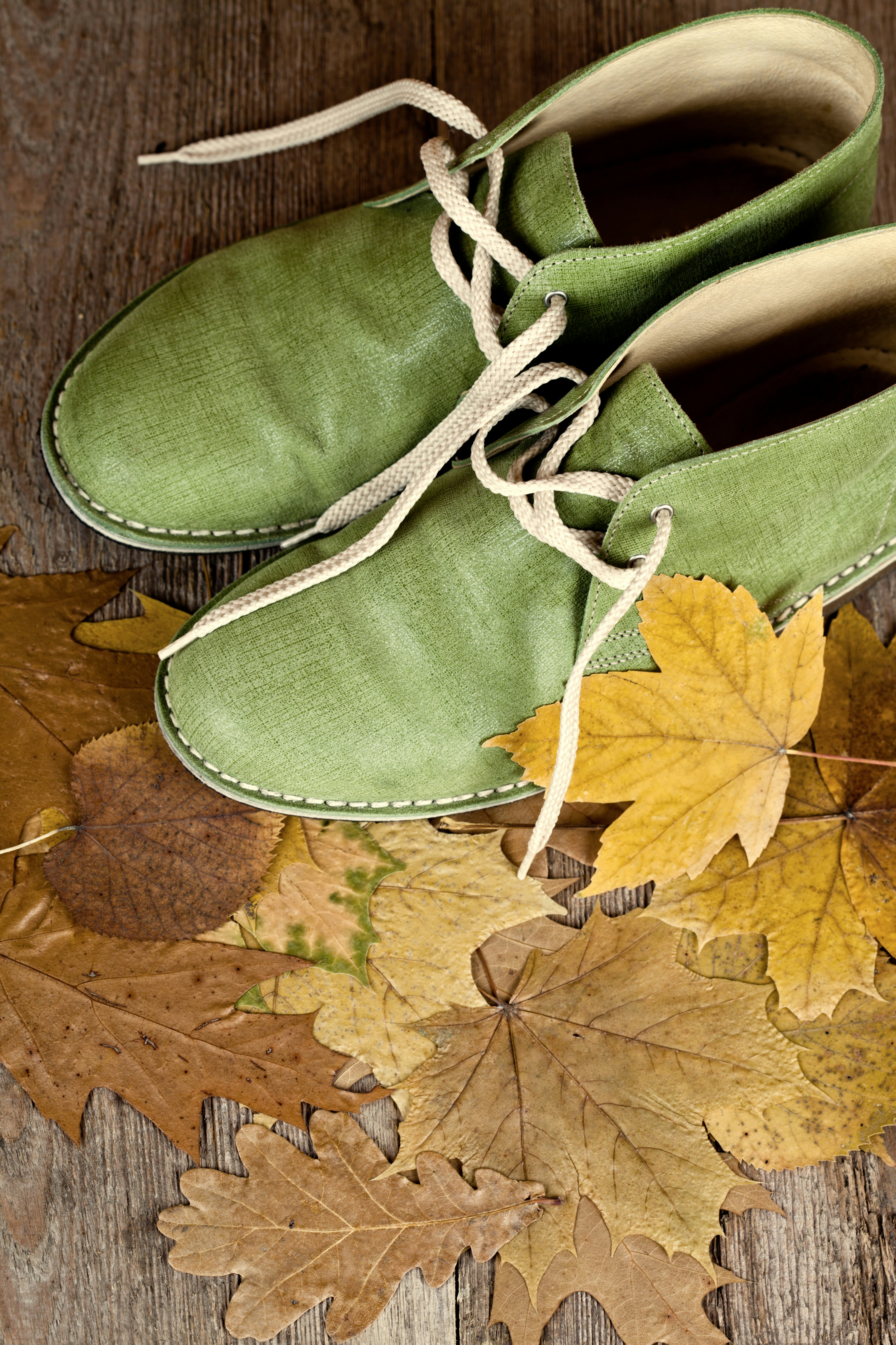 Emerald Shoes Nestled Among Autumn Leaves