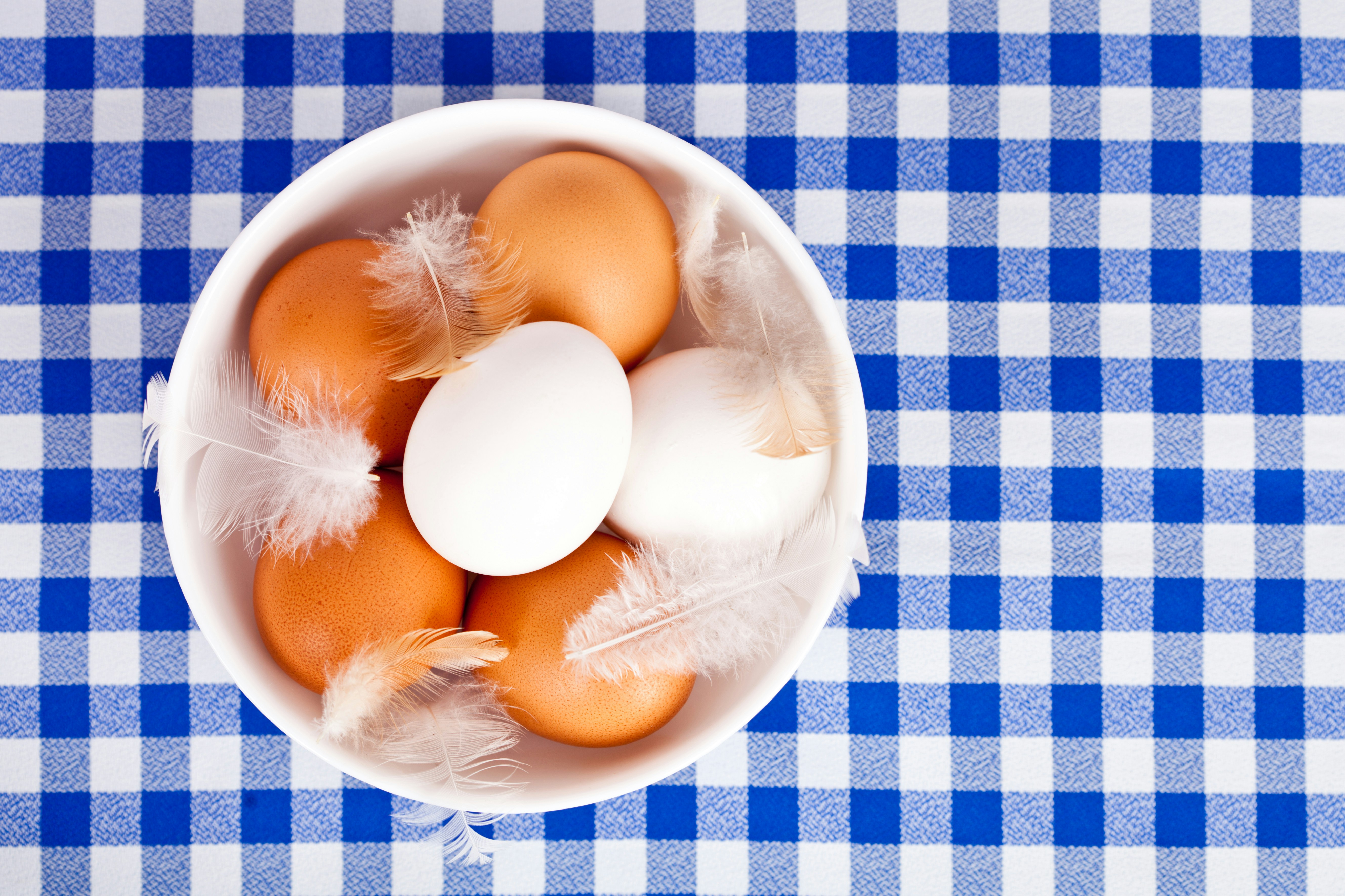Eggs in a Feathered Nest: A Simple Morning in Blue Checks
