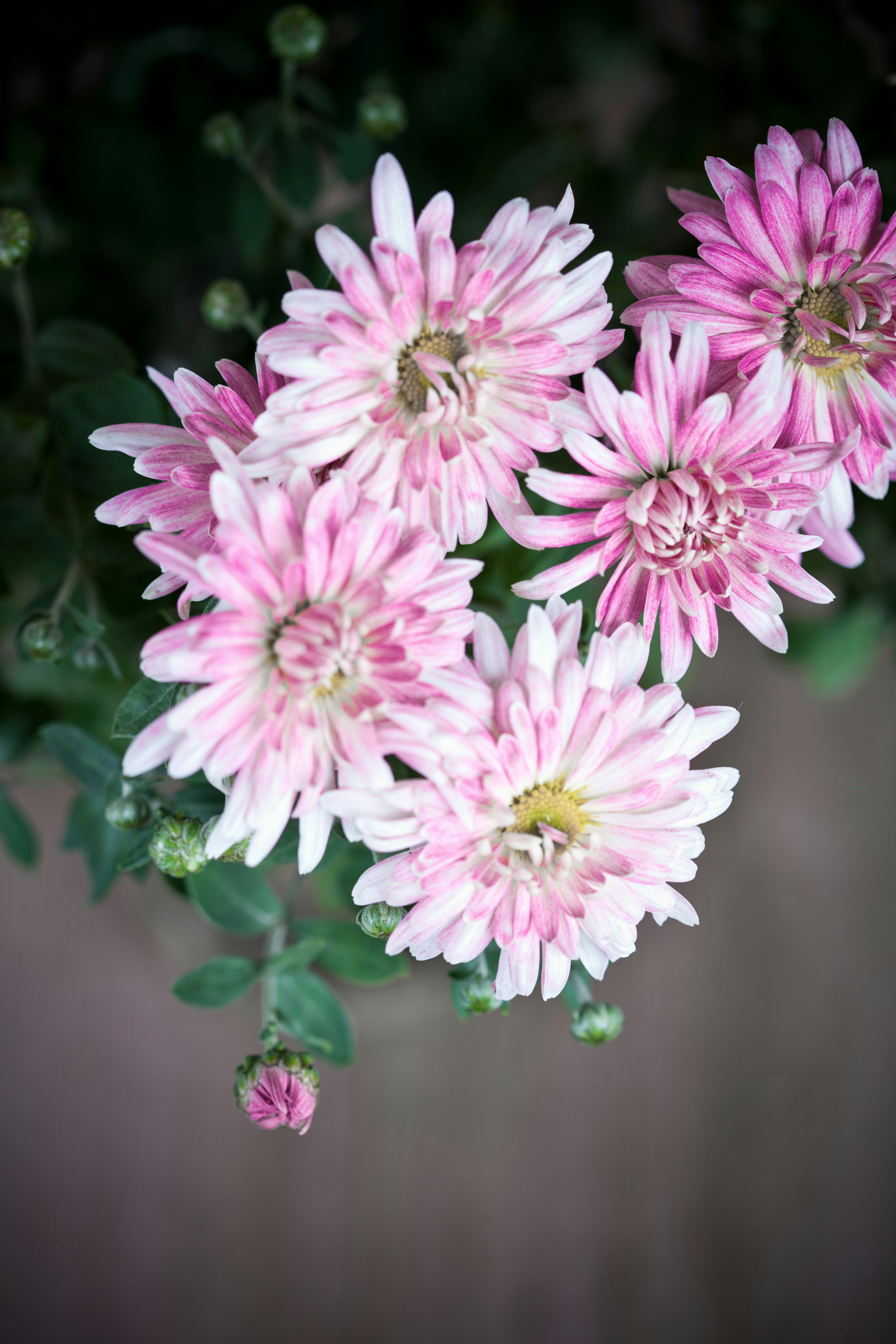 Maria Kovalets (@marylooo) | Unsplash Photo Community